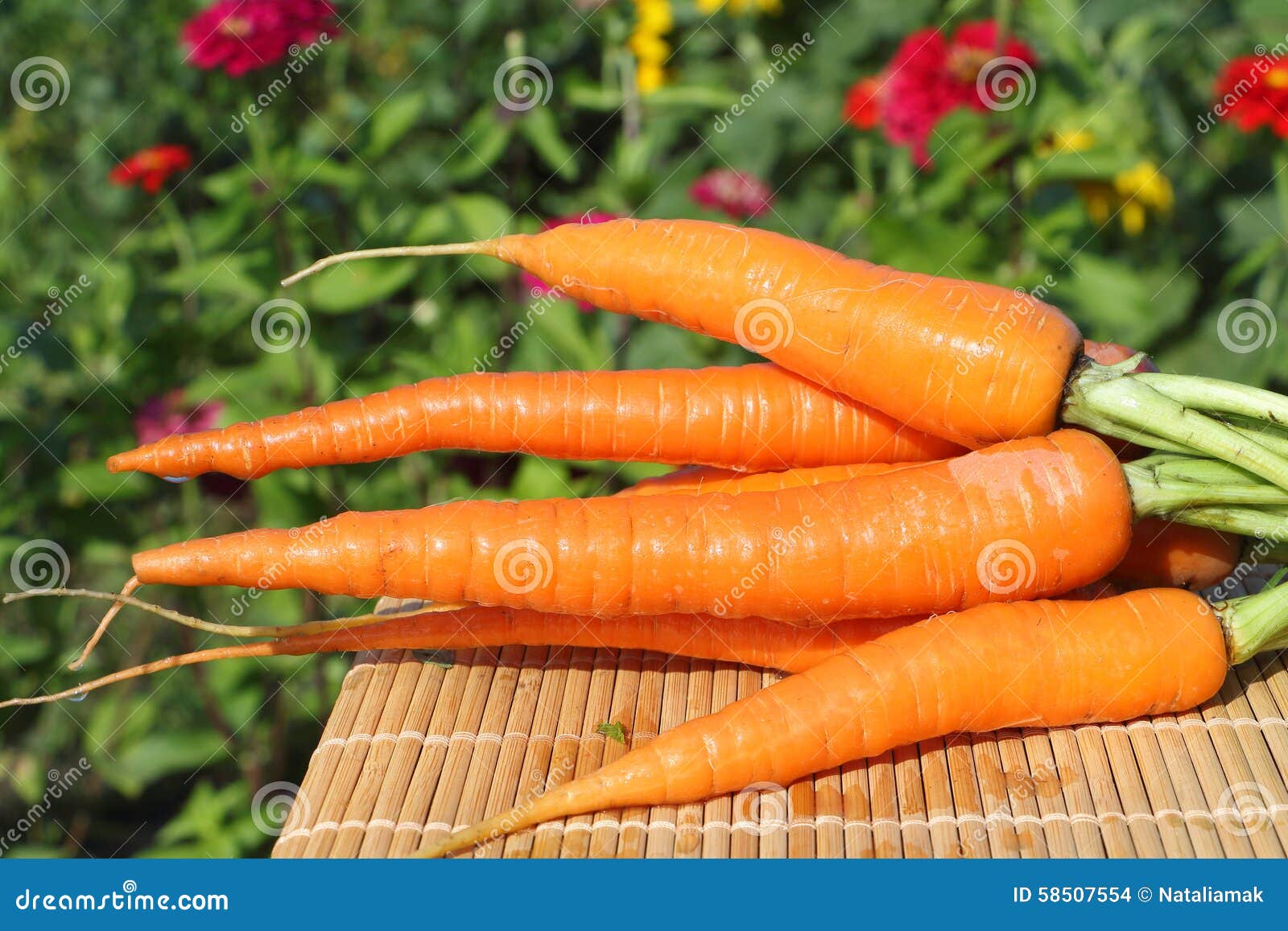 The Ripe Carrots Lying on a Table Stock Photo - Image of carrots ...