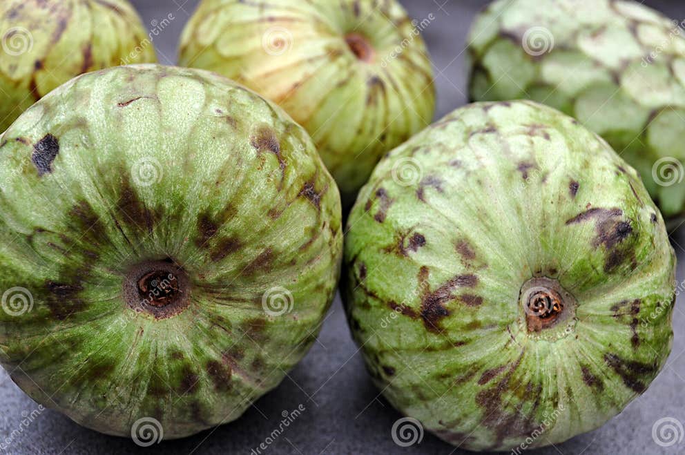 Ripe cherimoya fruit stock image. Image of gray, food - 79240559