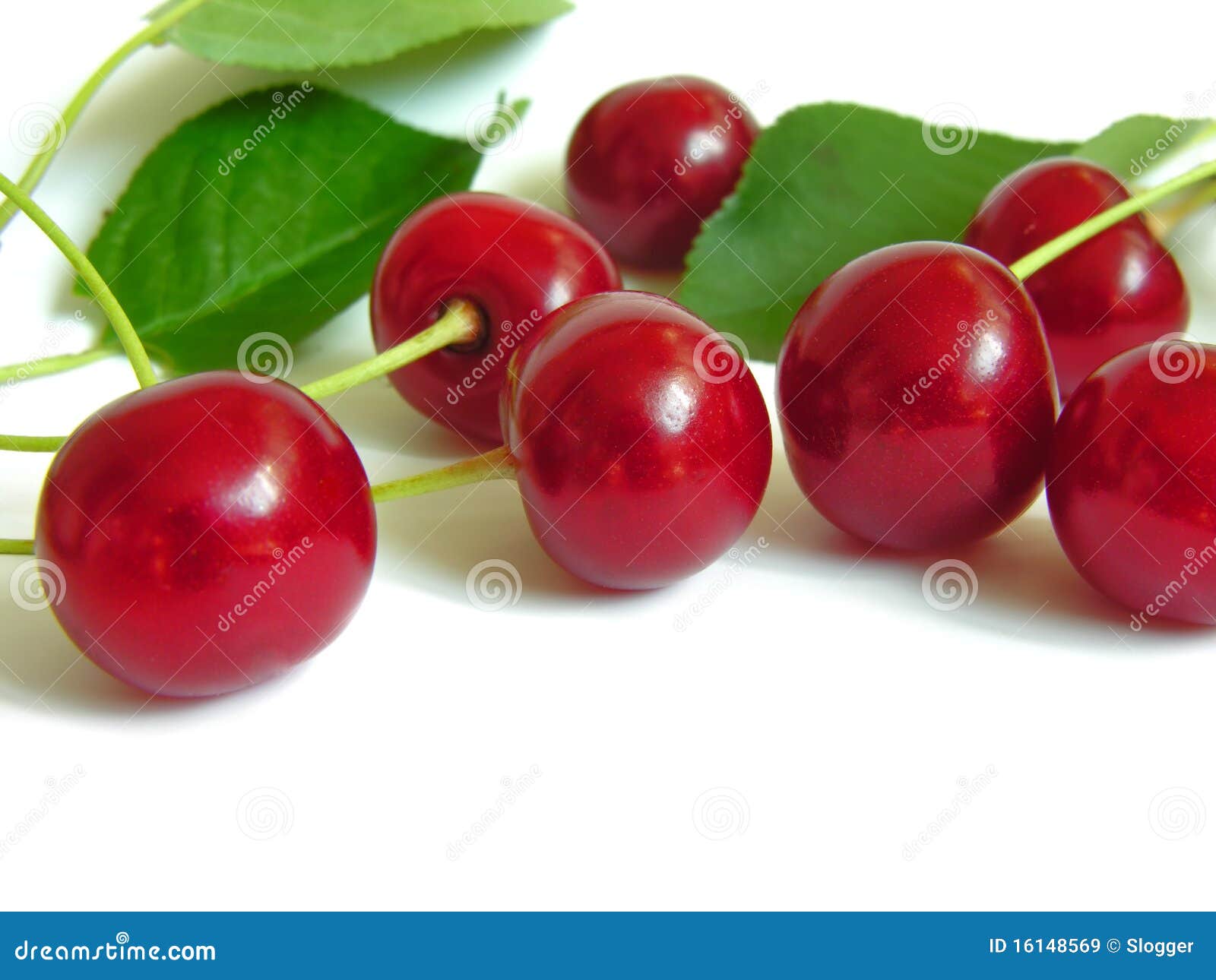 Ripe cherries stock image. Image of fruit, organic, ripe - 16148569
