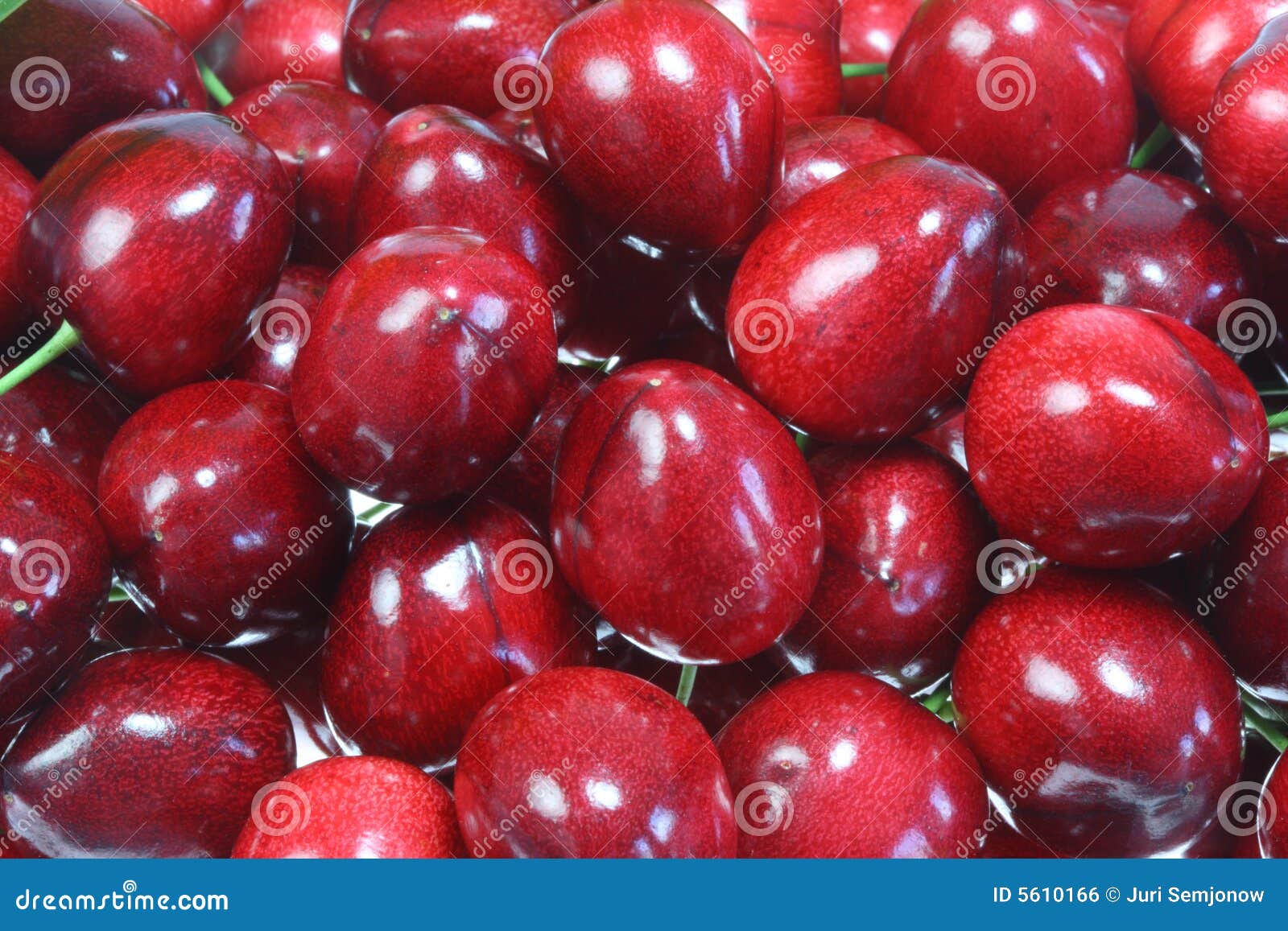 Ripe cherries. stock photo. Image of succulent, green - 5610166