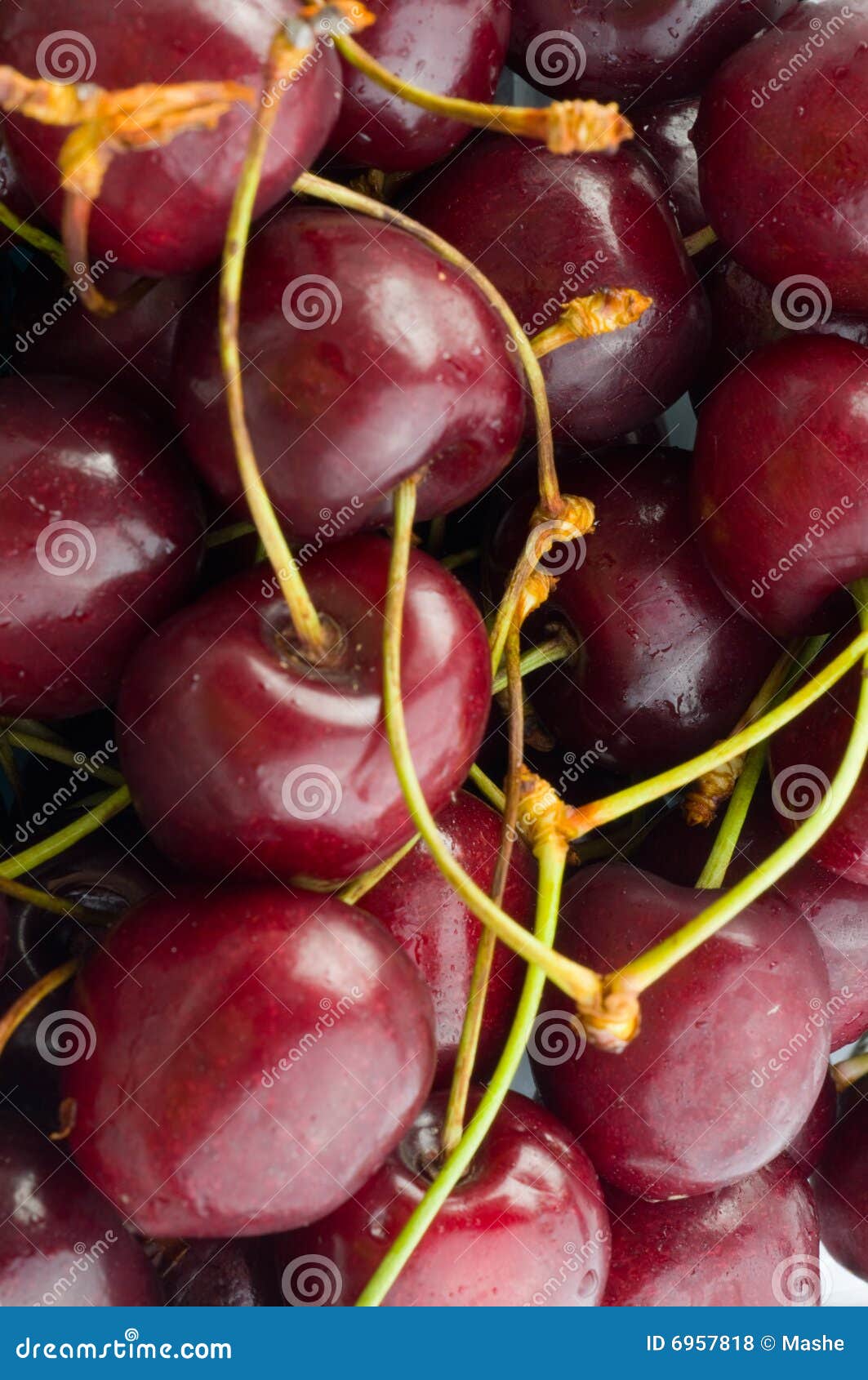 Ripe cherries stock photo. Image of ripe, sweet, cherry - 6957818