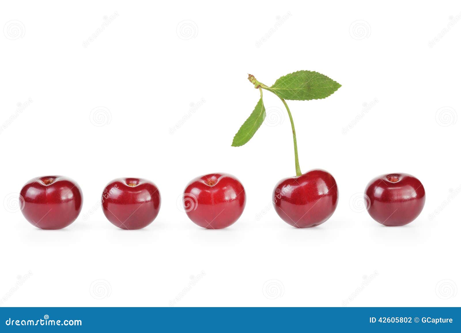 Ripe Cherries in a Row One with Stem and Leaf Stock Photo - Image of ...