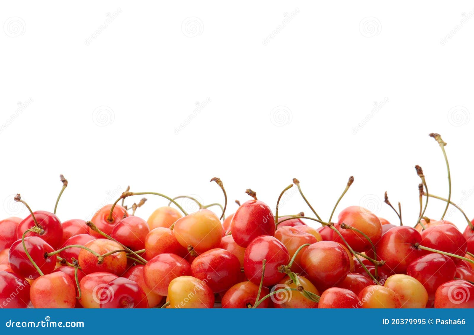 Ripe cherry stock image. Image of food, healthy, ripe - 20379995