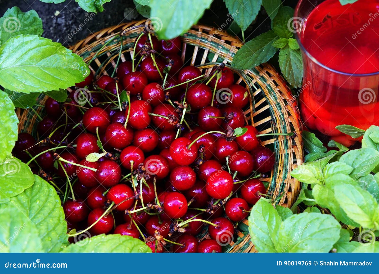 Ripe Cherry and Cherry Drink Green Grass Stock Image - Image of brown ...