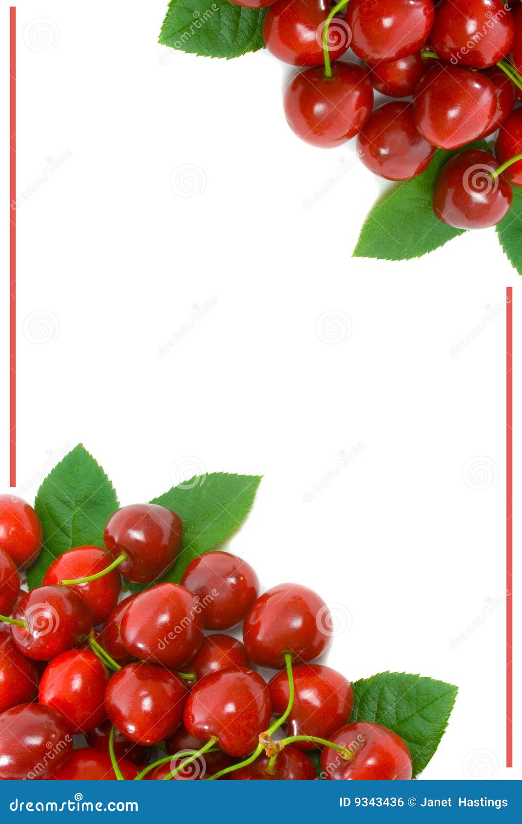 Ripe Cherry Corner Border with Copy Space Stock Photo - Image of ...