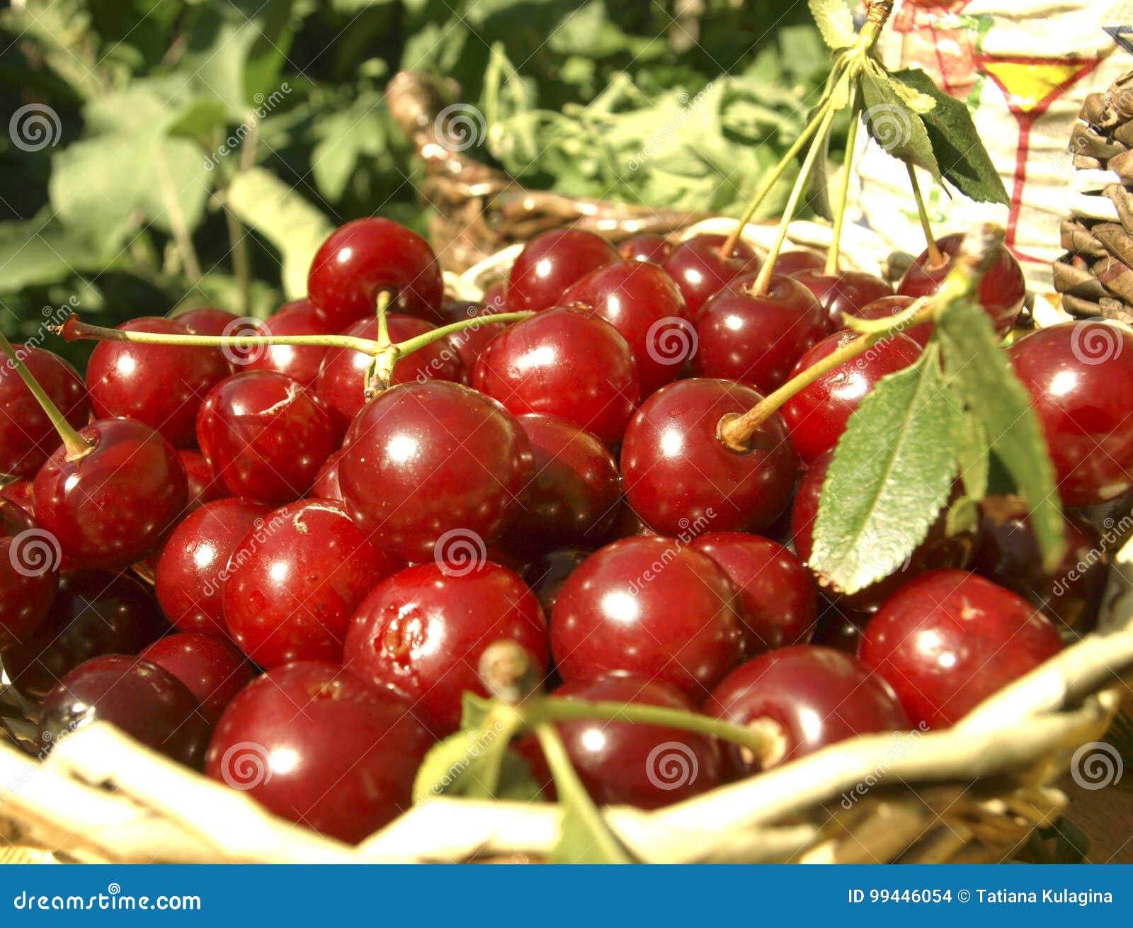Ripe cherry stock photo. Image of color, food, bunch - 99446054