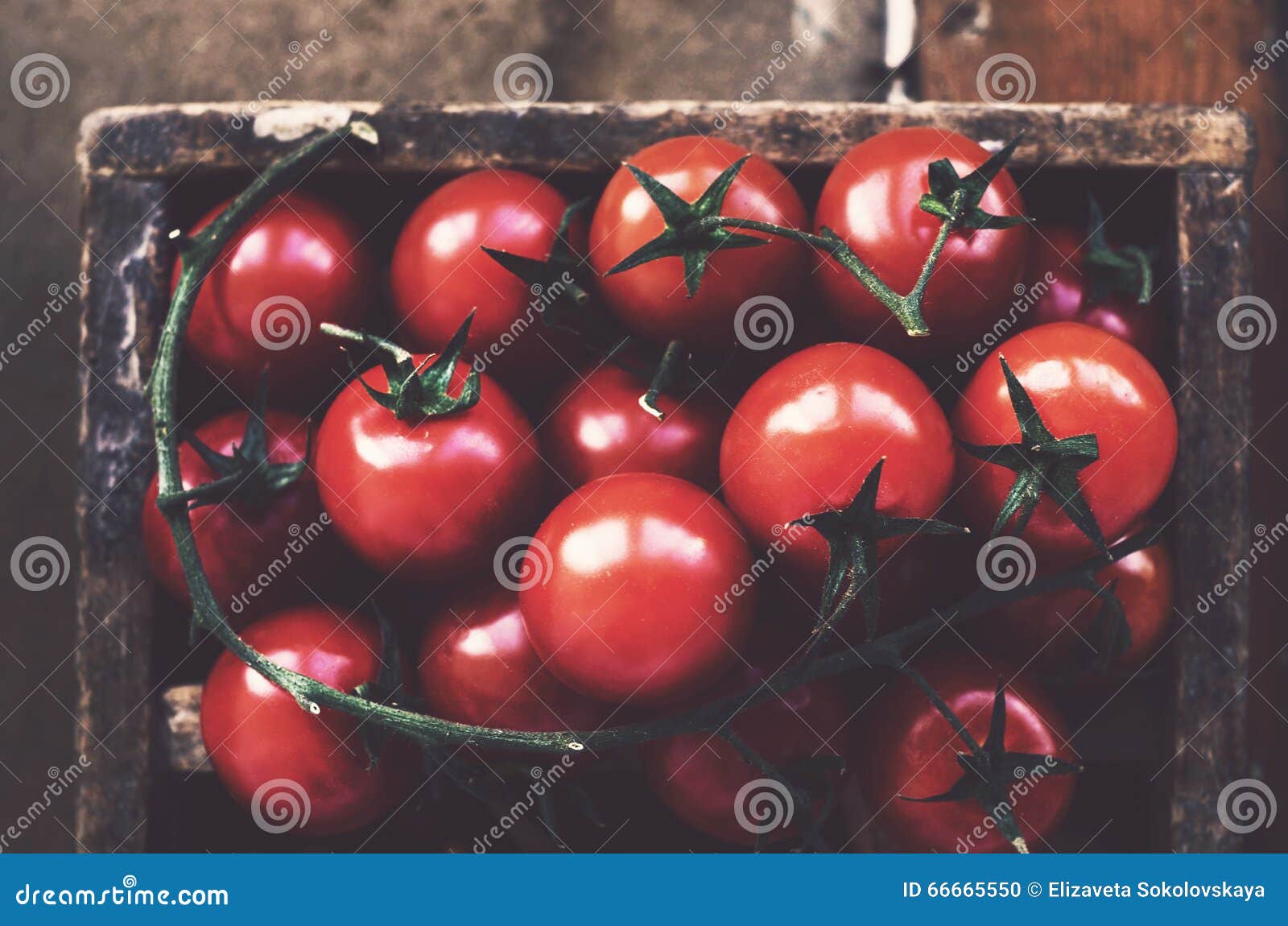 Ripe Cherry Tomato Branch in Wooden Box Stock Photo - Image of harvest ...