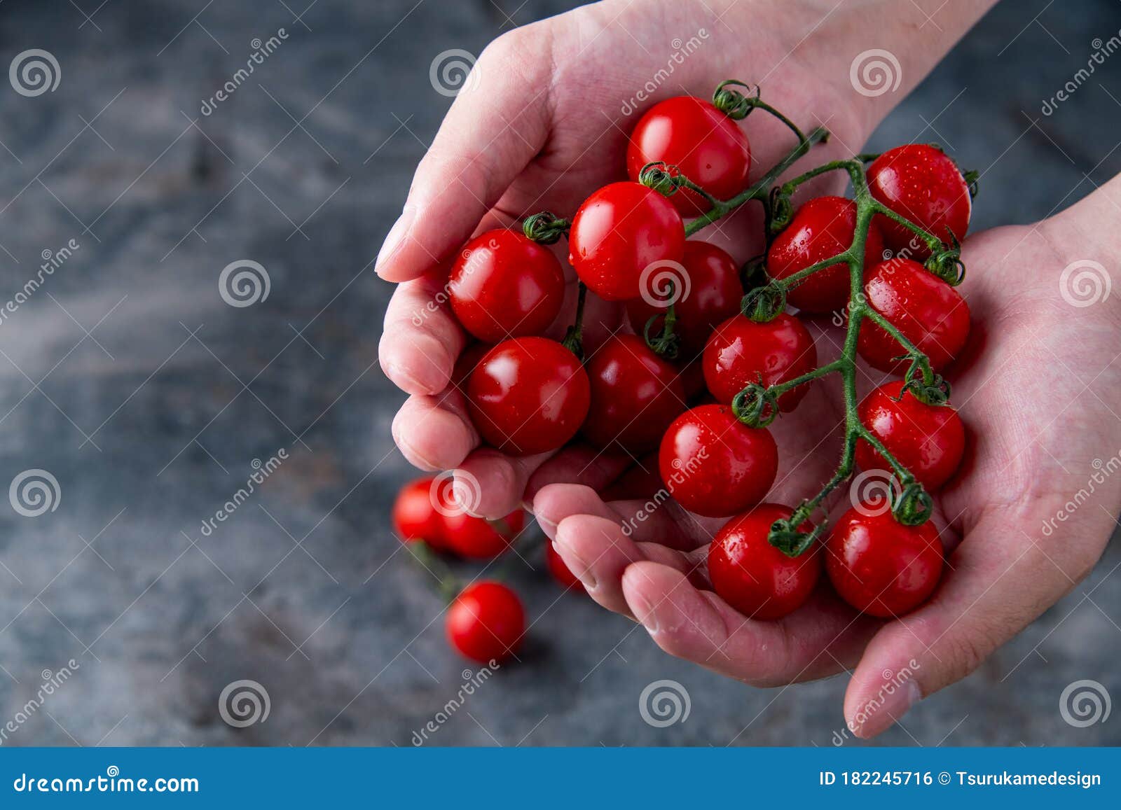 Ripe Cherry Tomatoes in Hands. Stock Photo - Image of nature, tomato ...
