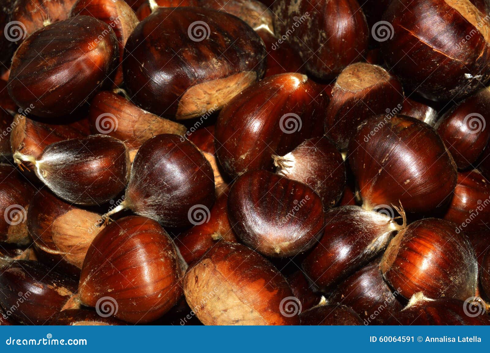 Ripe chestnuts stock image. Image of autumn, seasonal - 60064591