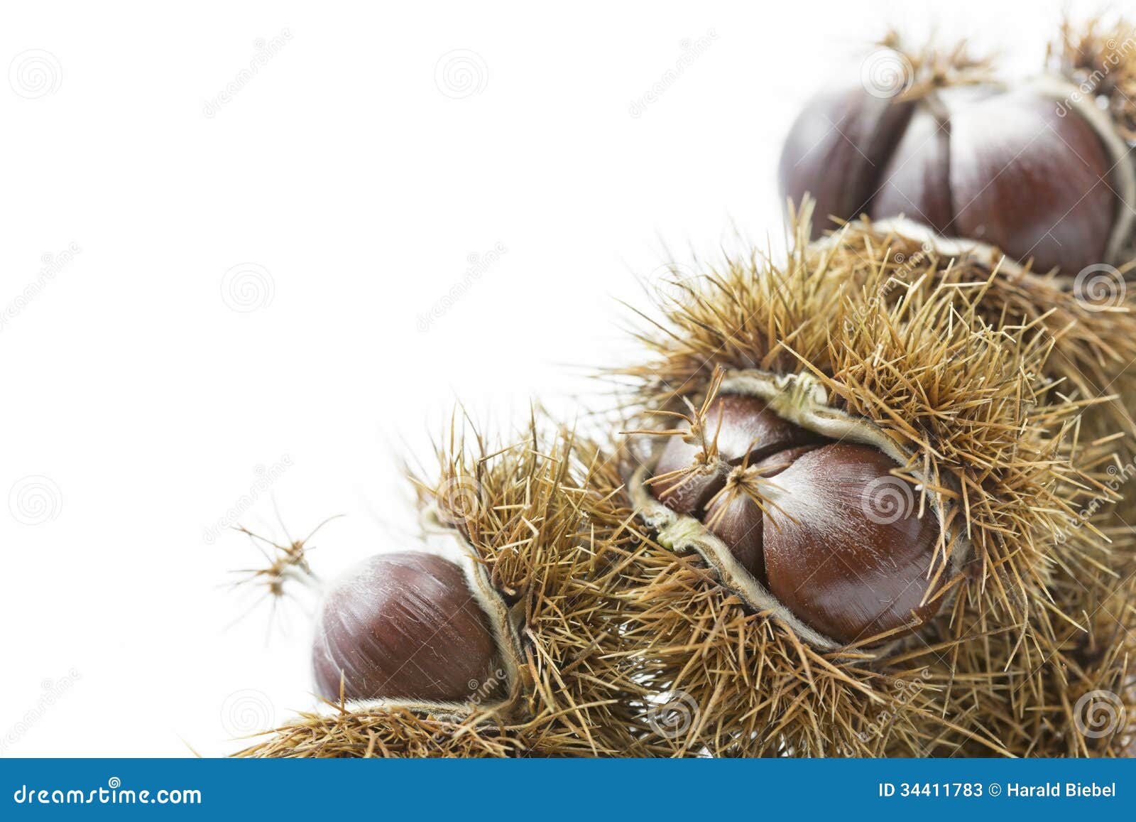 Ripe Chestnuts on White Background Stock Image - Image of closeup ...