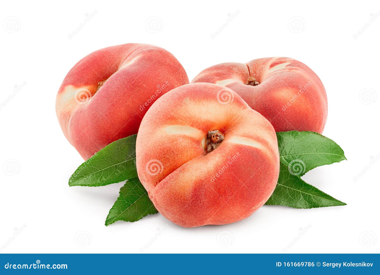 Ripe Chinese Flat Peach Fruit with Leaf Isolated on White Background ... Ripe Chinese Flat Peach Fruit with Leaf Isolated on White Background ...