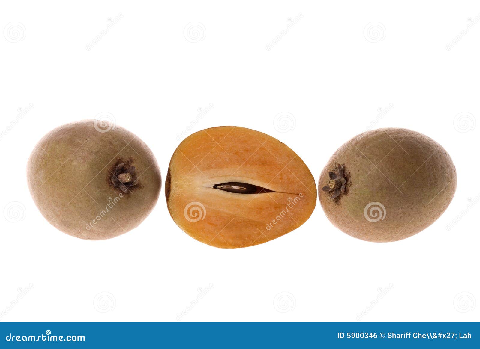 Ripe ciku fruits stock photo. Image of brown, three, healthy - 5900346