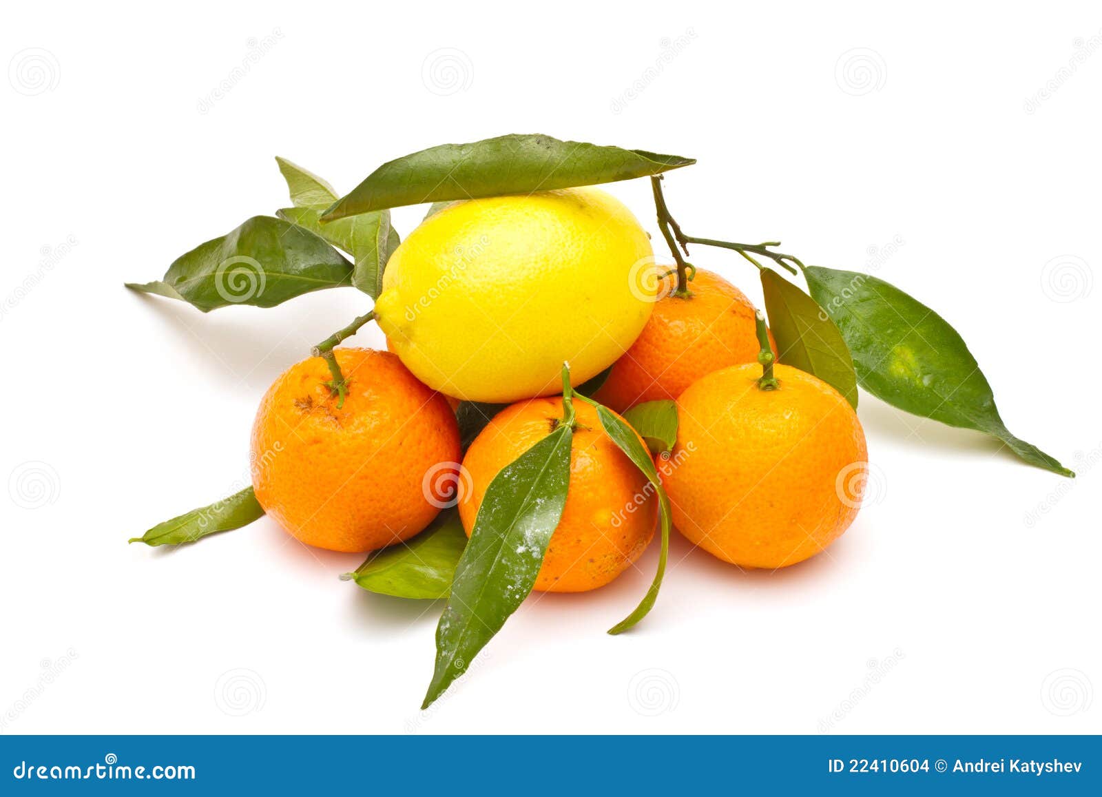 Ripe citrus stock photo. Image of dietary, eating, lifestyle - 22410604