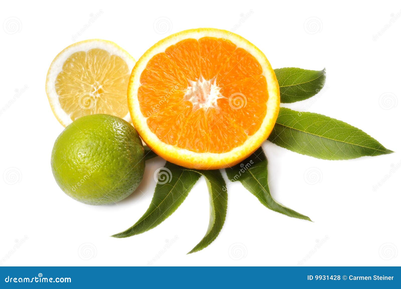 Ripe citrus fruits stock photo. Image of isolated, slices - 9931428