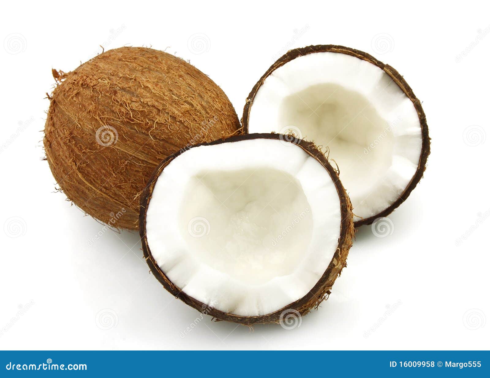 Ripe coconut stock photo. Image of fruit, color, brown - 16009958