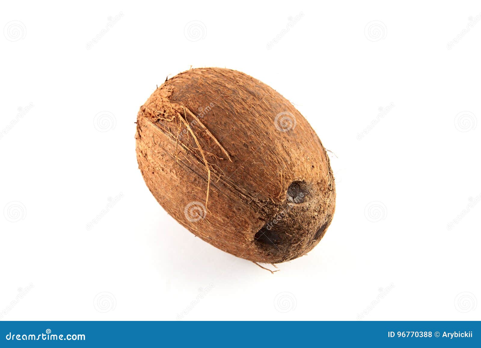 Ripe coconut close up stock photo. Image of diet, food - 96770388