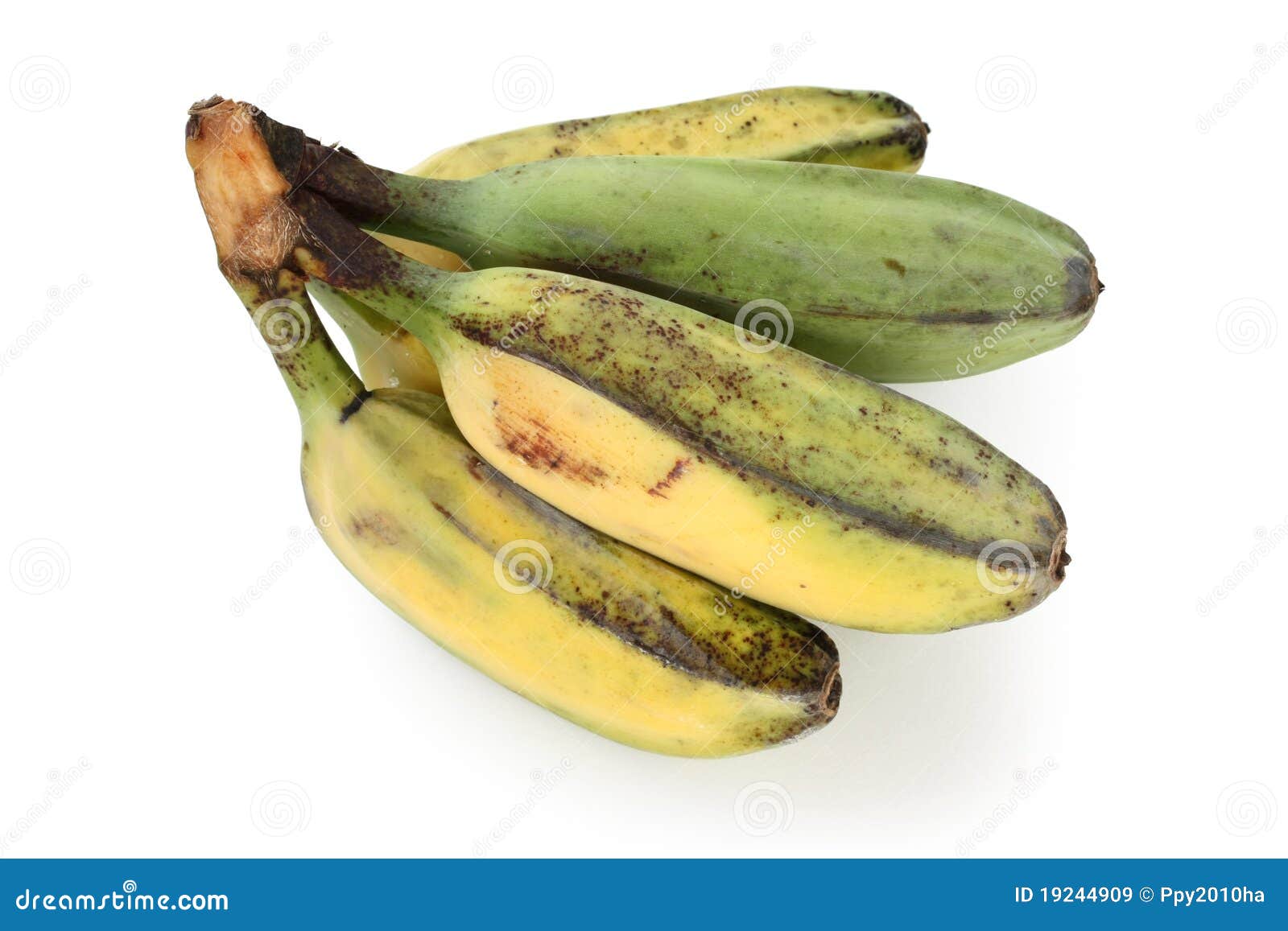 Cooking Banana, Rulo, This Fruit Is Like A Green Platano But More ...