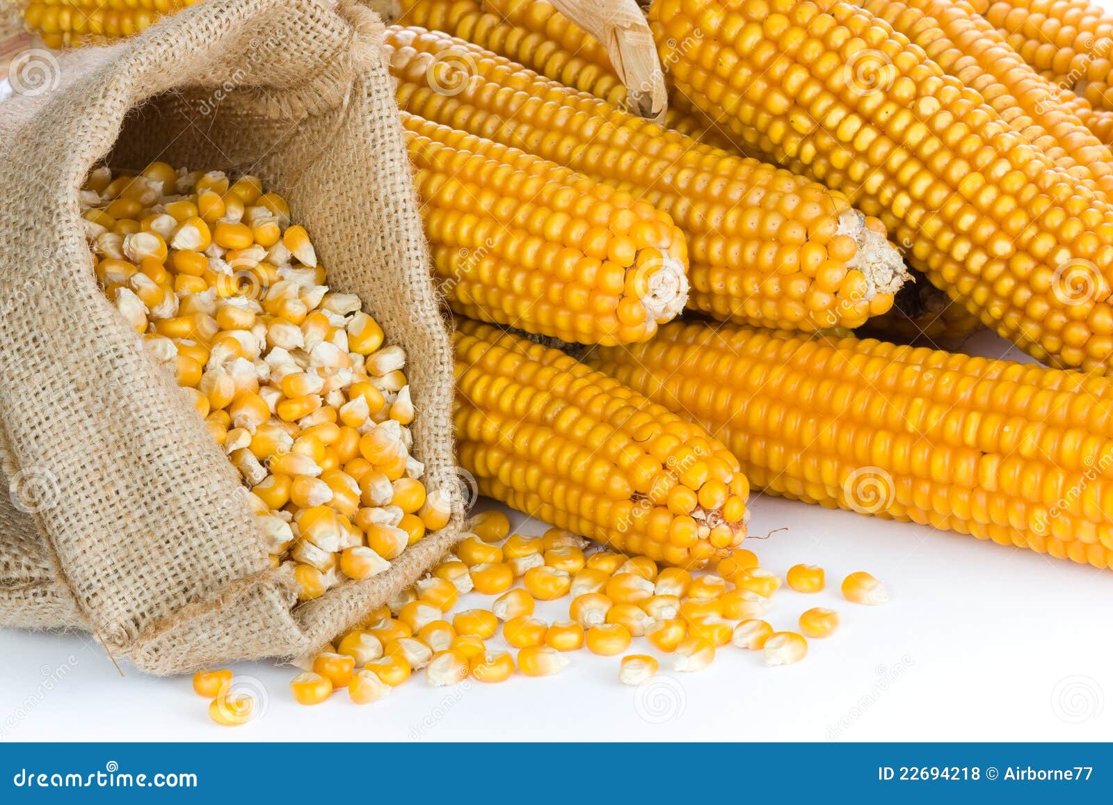 Ripe corn stock photo. Image of fruit, healthy, closeup - 22694218