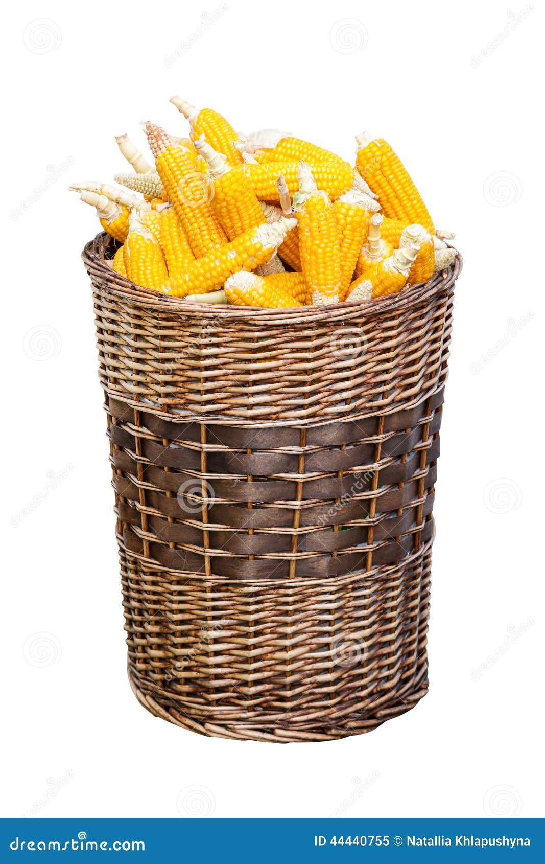 Ripe Corn in Basket, Isolated Stock Image - Image of closeup, heap ...