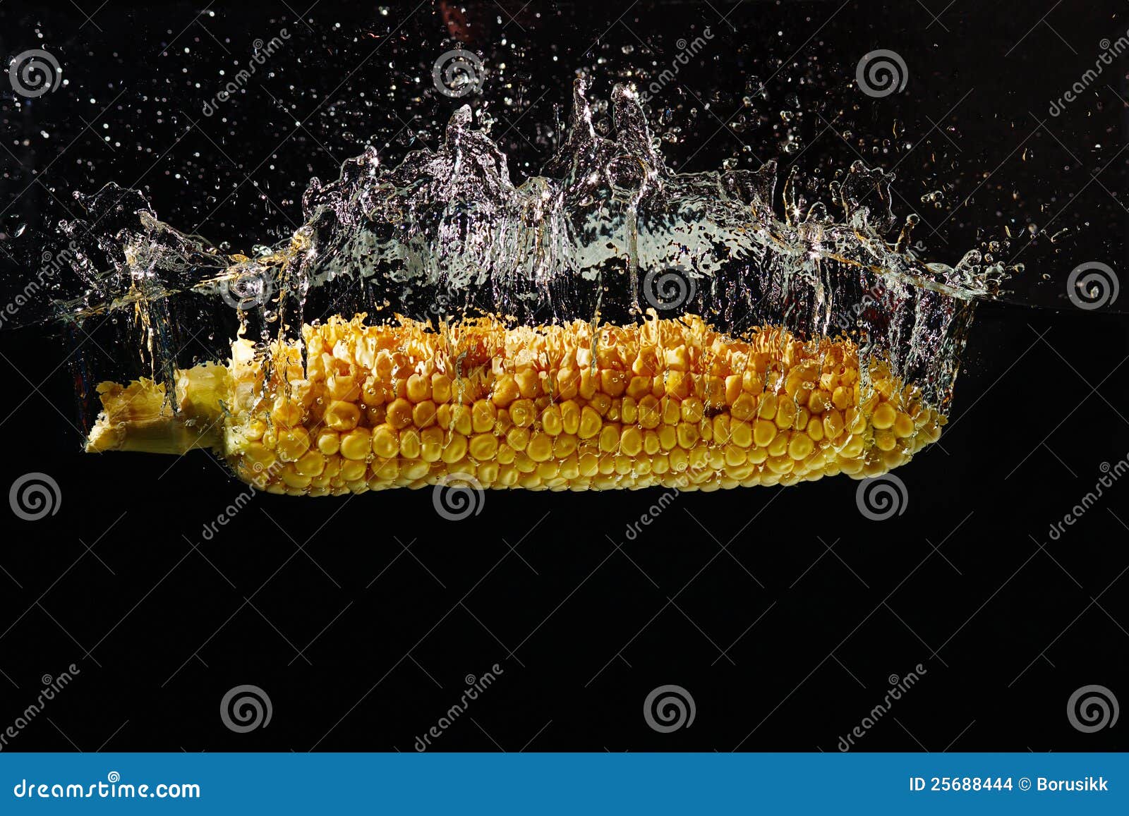 Ripe Corn Falling into the Water with a Splash Stock Photo - Image of ...