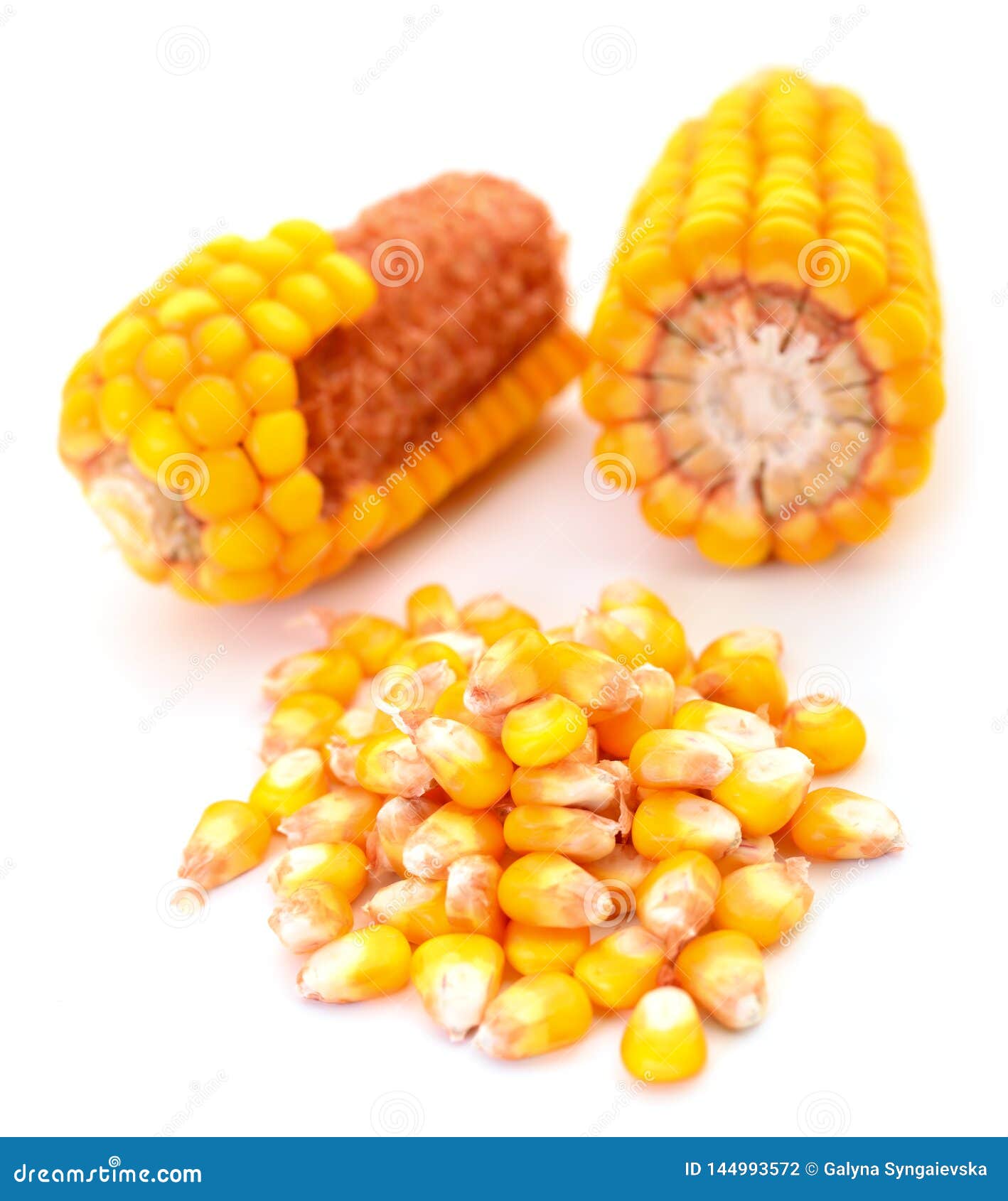 Ripe corn isolated stock photo. Image of sweetcorn, seed - 144993572