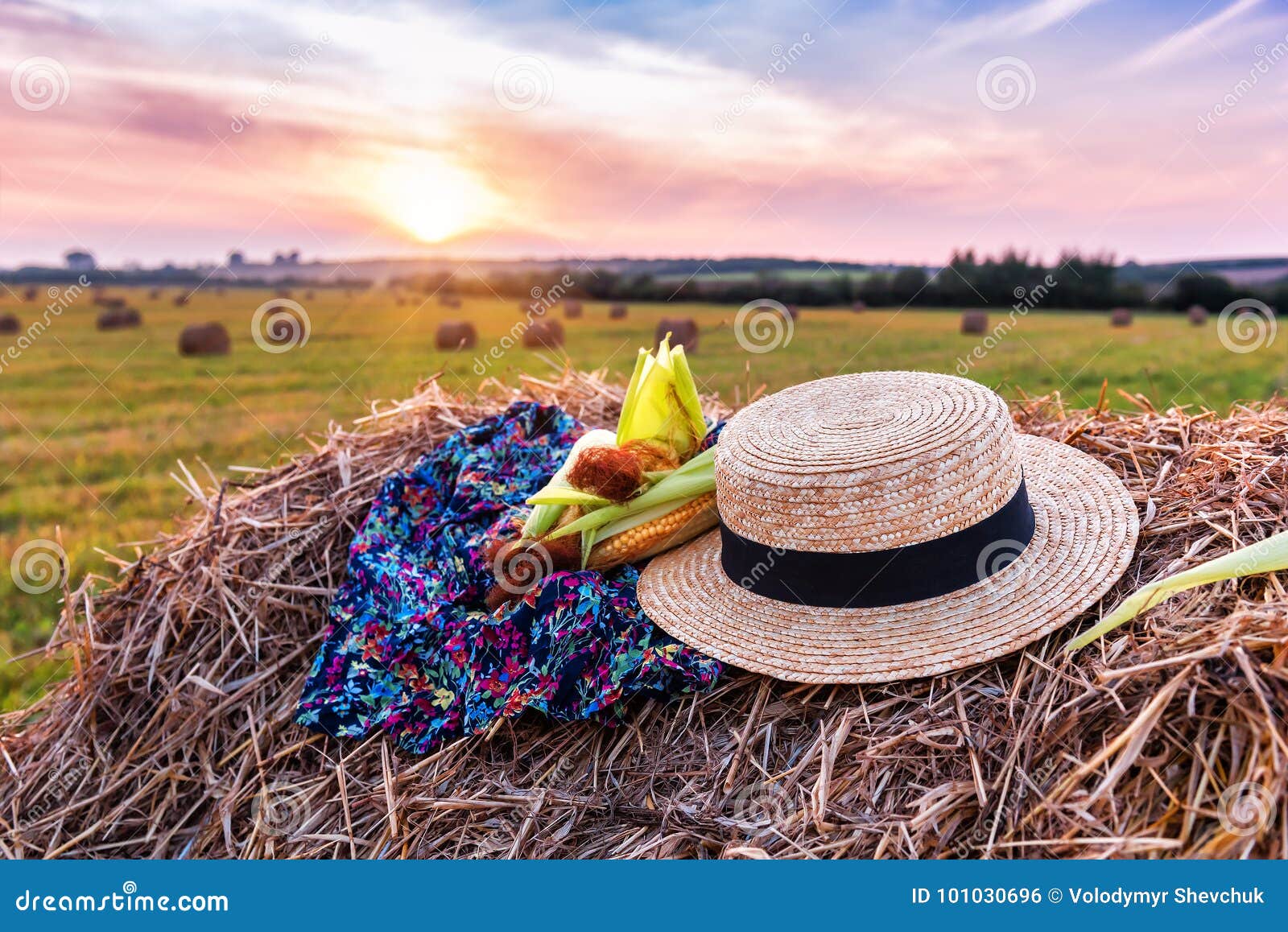 Corn and straw hat stock photo. Image of cereal, outdoor - 101030696
