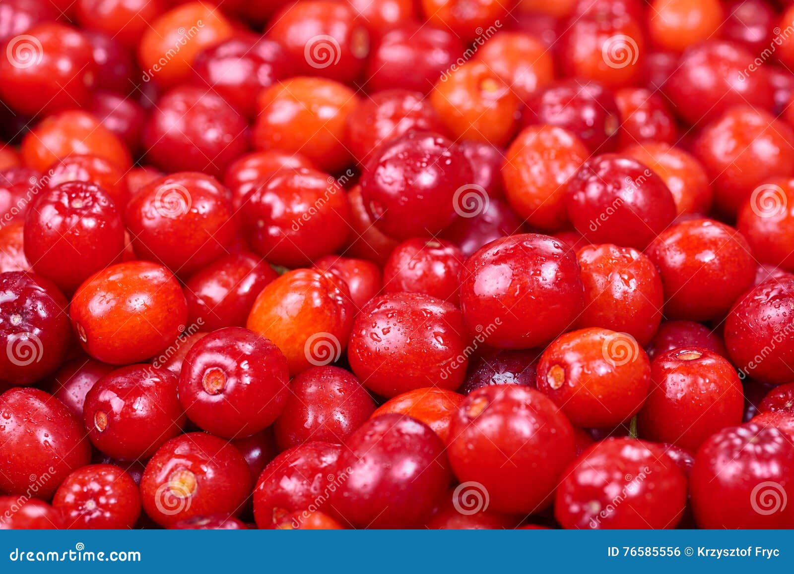Ripe cornelian cherry stock photo. Image of fruit, healthy - 76585556