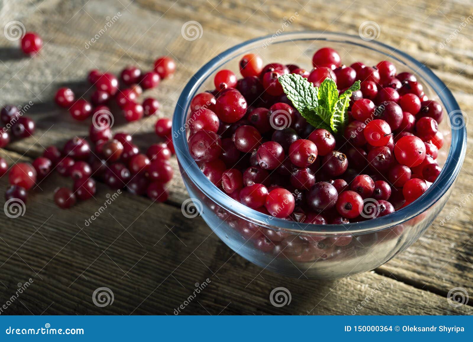 Ripe cranberries stock photo. Image of cranberry, food - 150000364