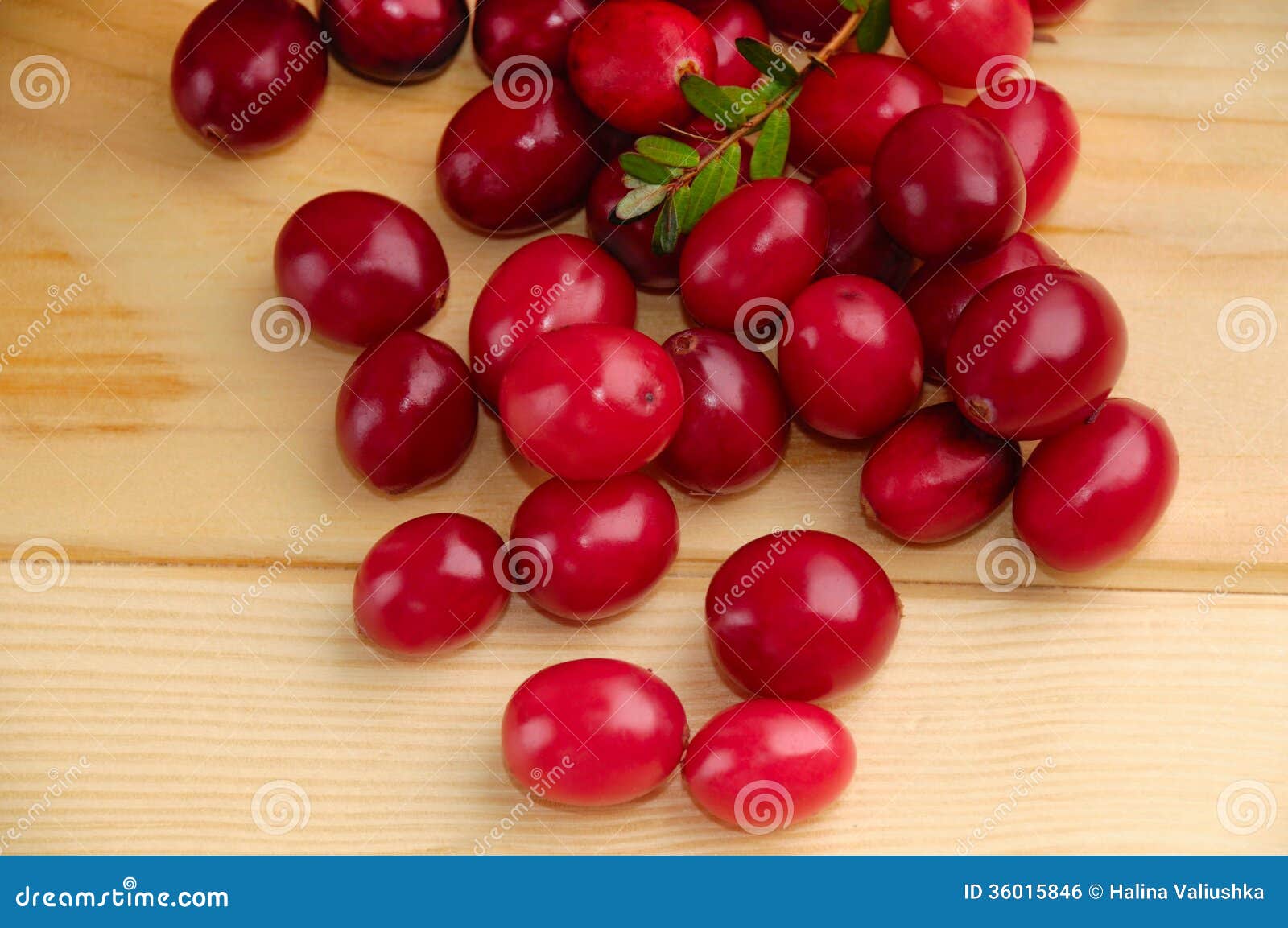 Ripe cranberries stock photo. Image of fresh, ripe, autumn - 36015846
