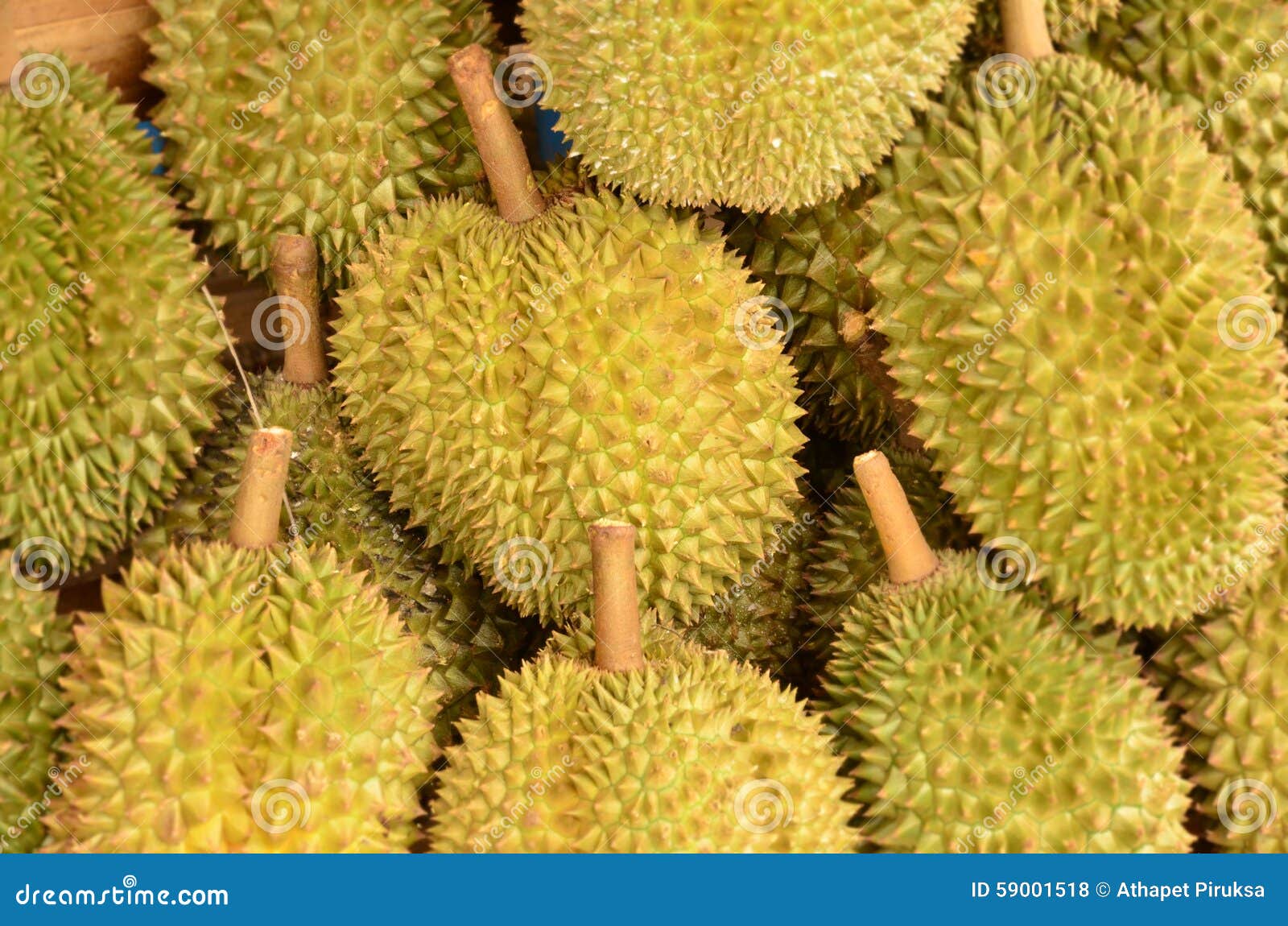 Ripe durian fruit stock photo. Image of exotic, color - 59001518