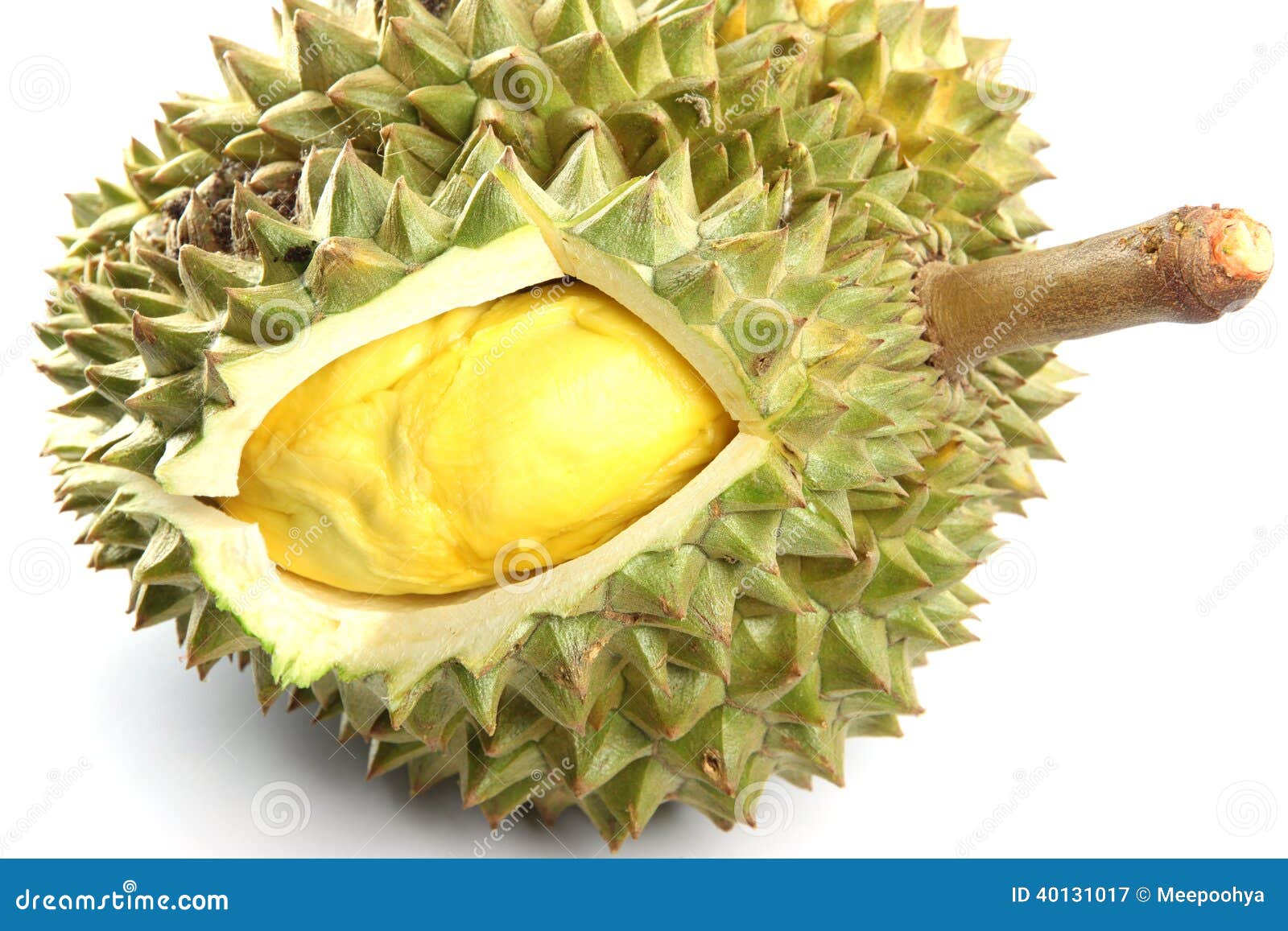 Ripe Durian Isolated on White Background. Stock Image - Image of ...