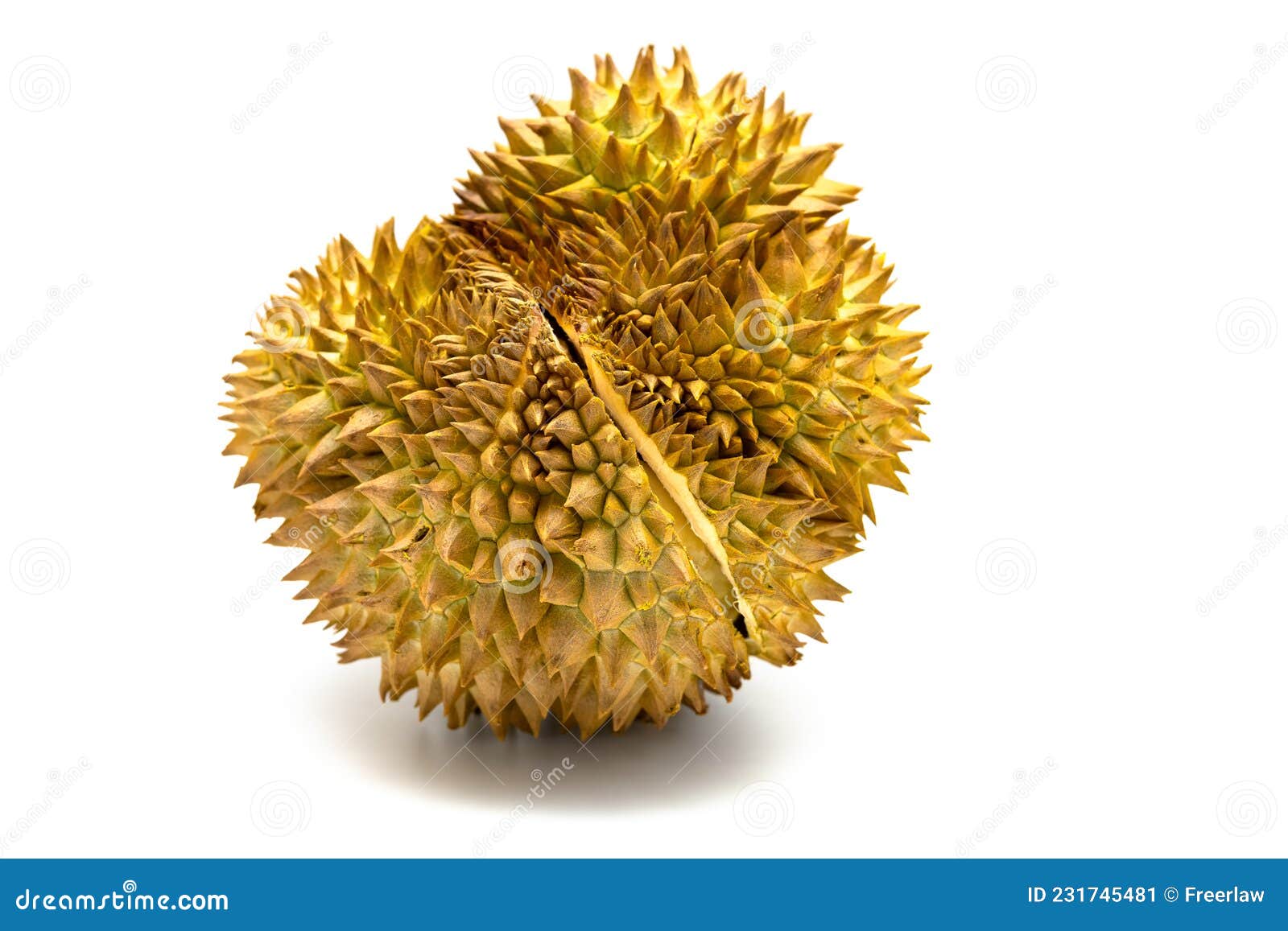 Ripe Durian on White Background Stock Image - Image of asian, freshness ...