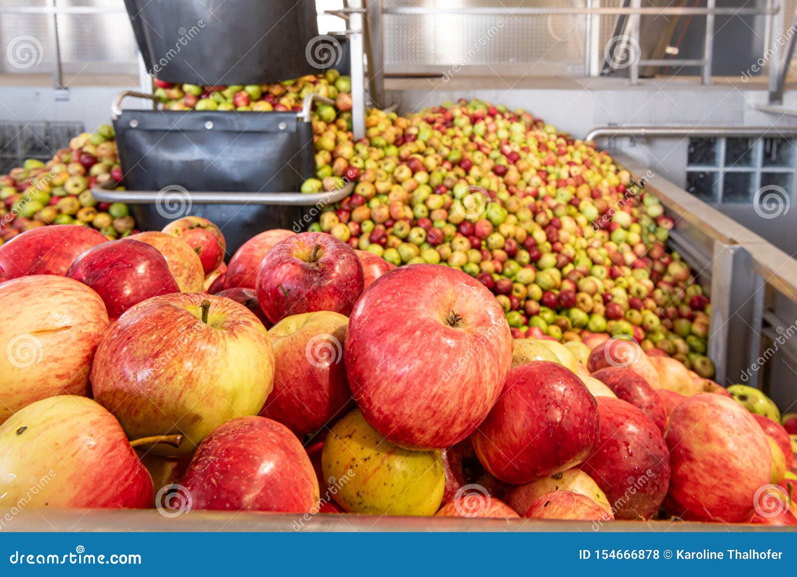 Ripe Fall Apples in a Storage Silo, Ready To Squeeze Apple Juice Stock ...