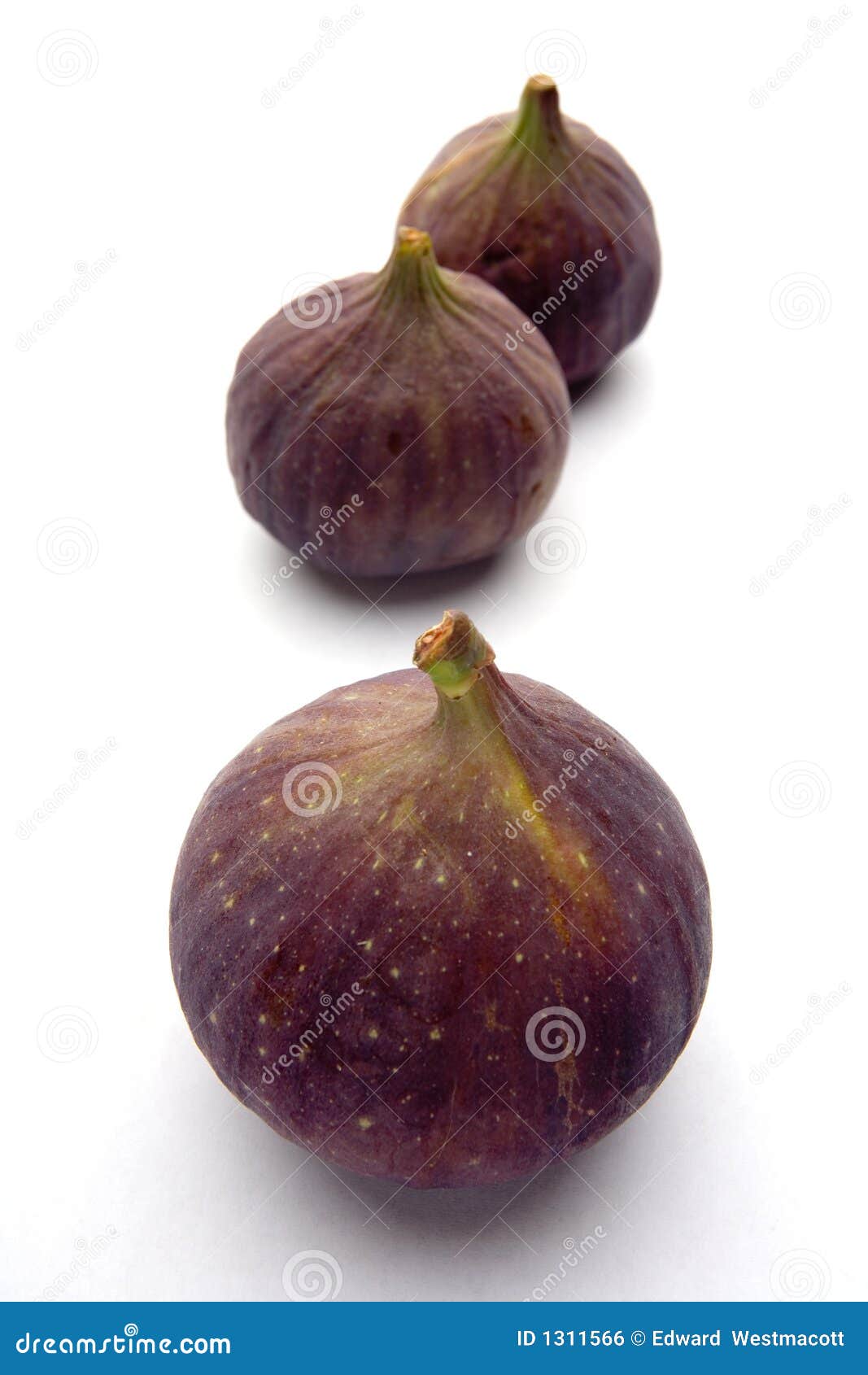Ripe figs stock photo. Image of line, details, ripened - 1311566