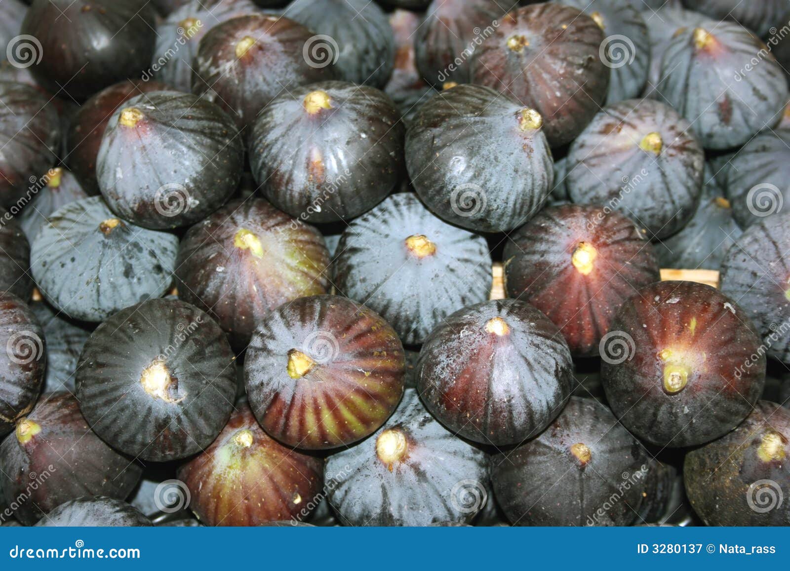 Ripe Figs stock image. Image of sweet, fresh, nature, nutritious - 3280137