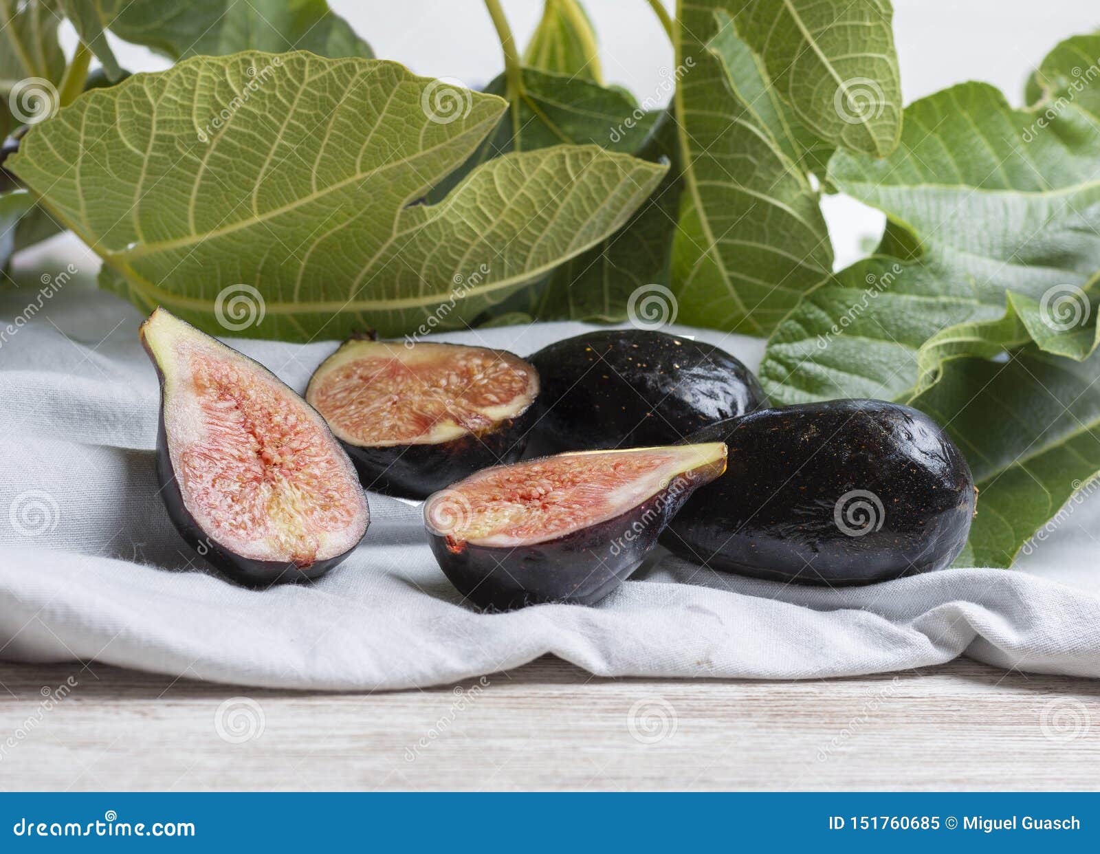 Ripe Figs Freshly Picked from the Fig Tree - Image Stock Image - Image ...