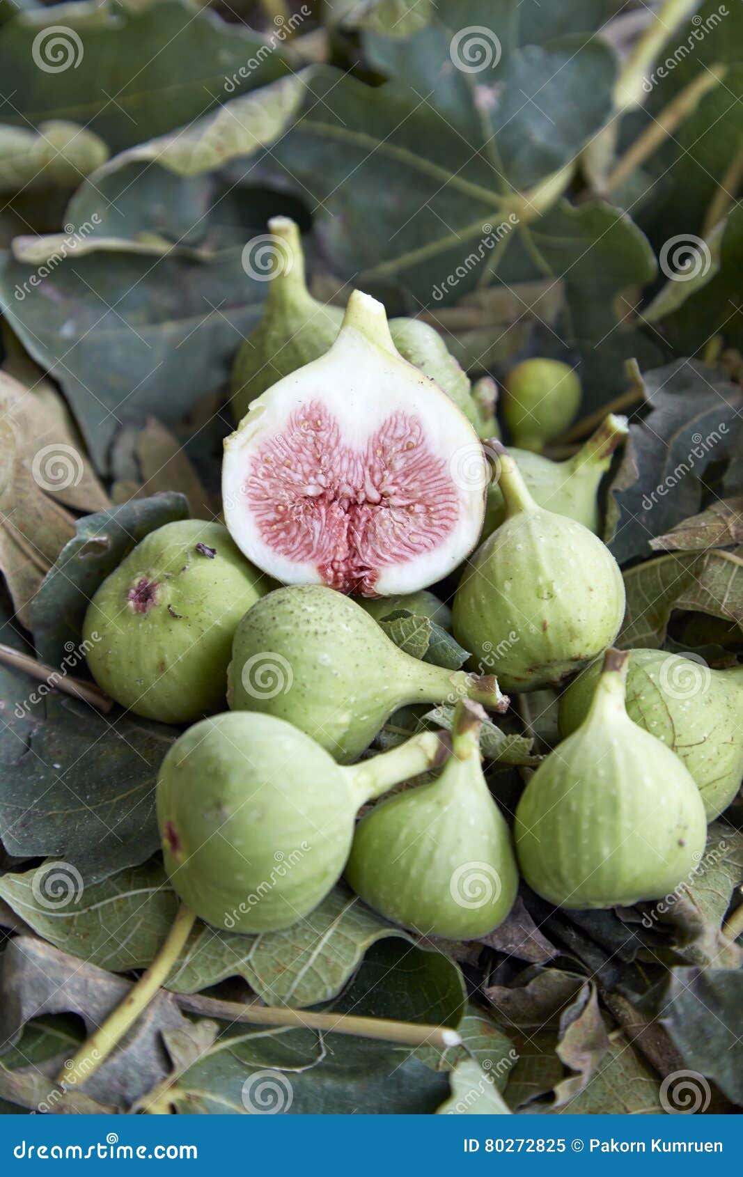 Ripe figs stock image. Image of dessert, food, slice - 80272825