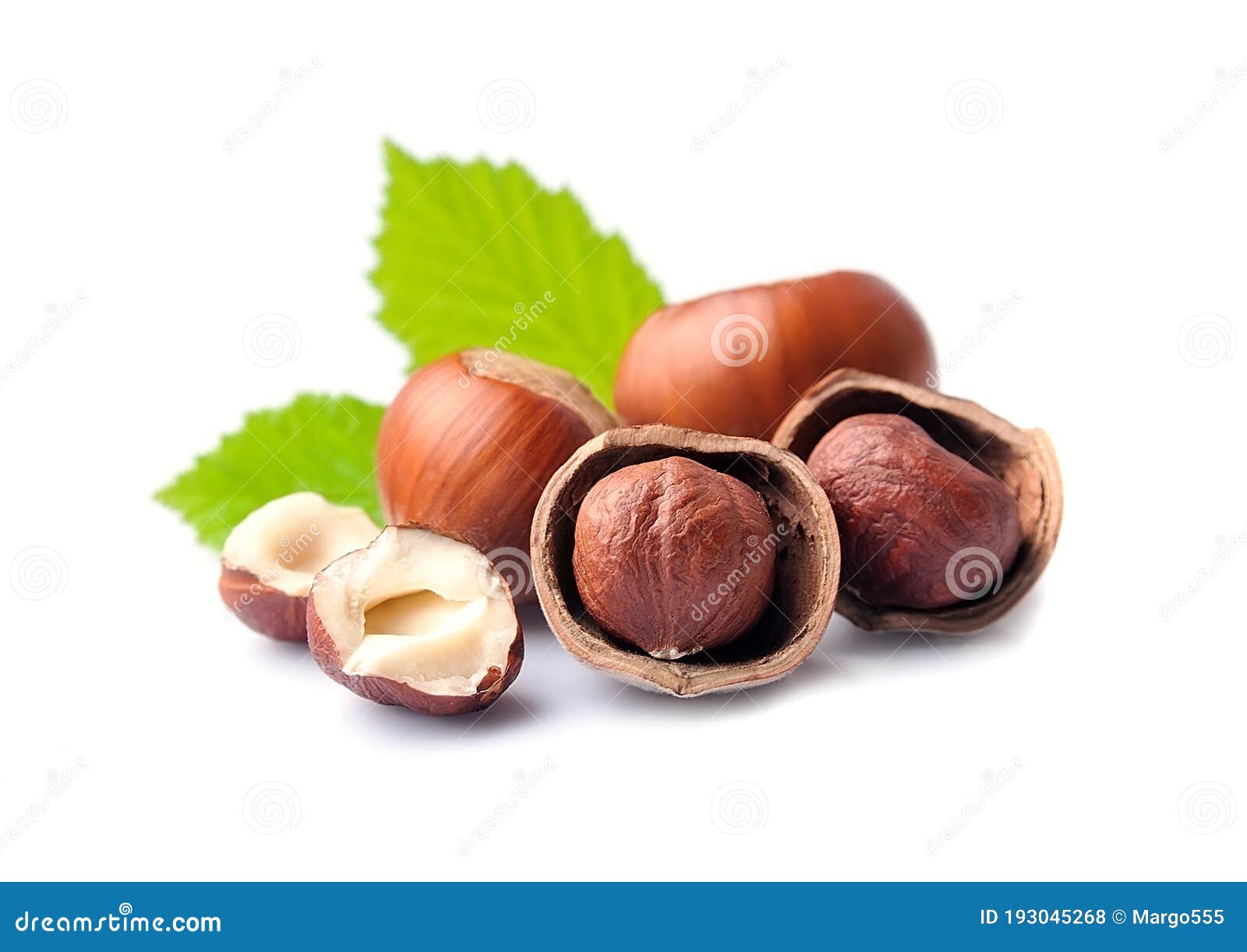 Ripe filbert nuts stock photo. Image of ingredient, tasty - 193045268