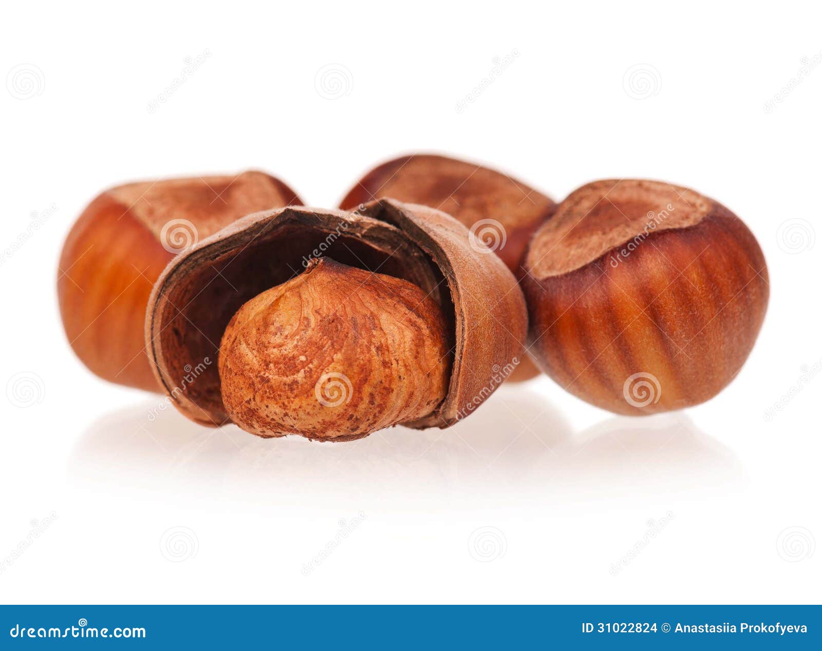 Ripe filberts stock photo. Image of harvest, healthy - 31022824