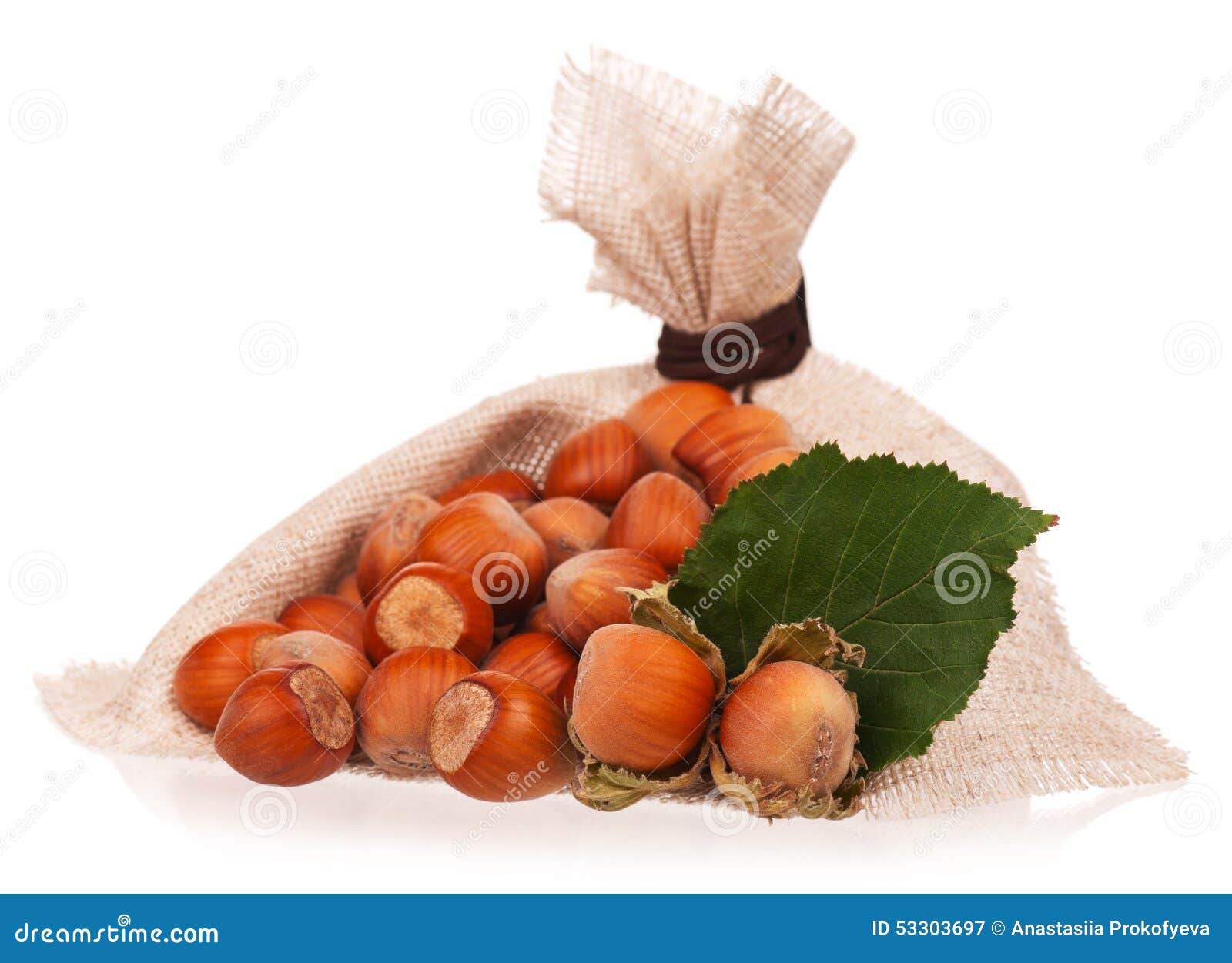 Ripe filberts stock image. Image of leaf, hunger, background - 53303697