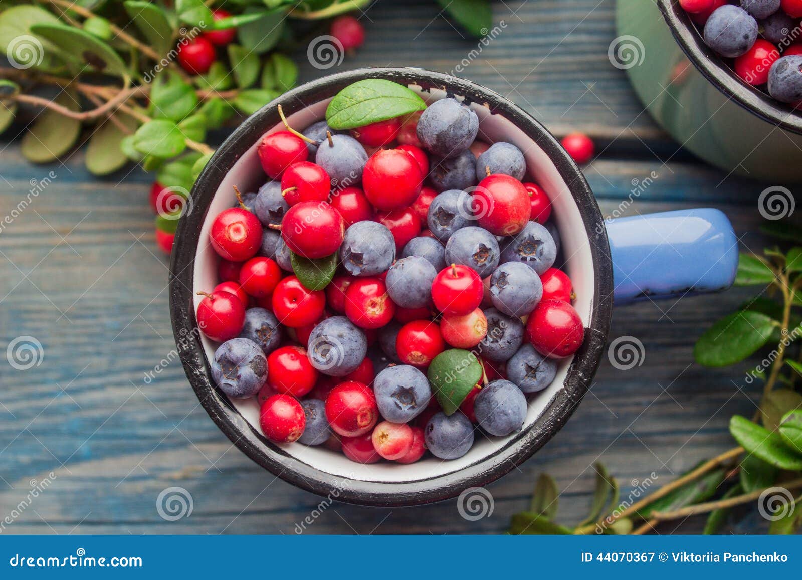 99,091 Ripe Forest Stock Photos - Free & Royalty-Free Stock Photos from ...