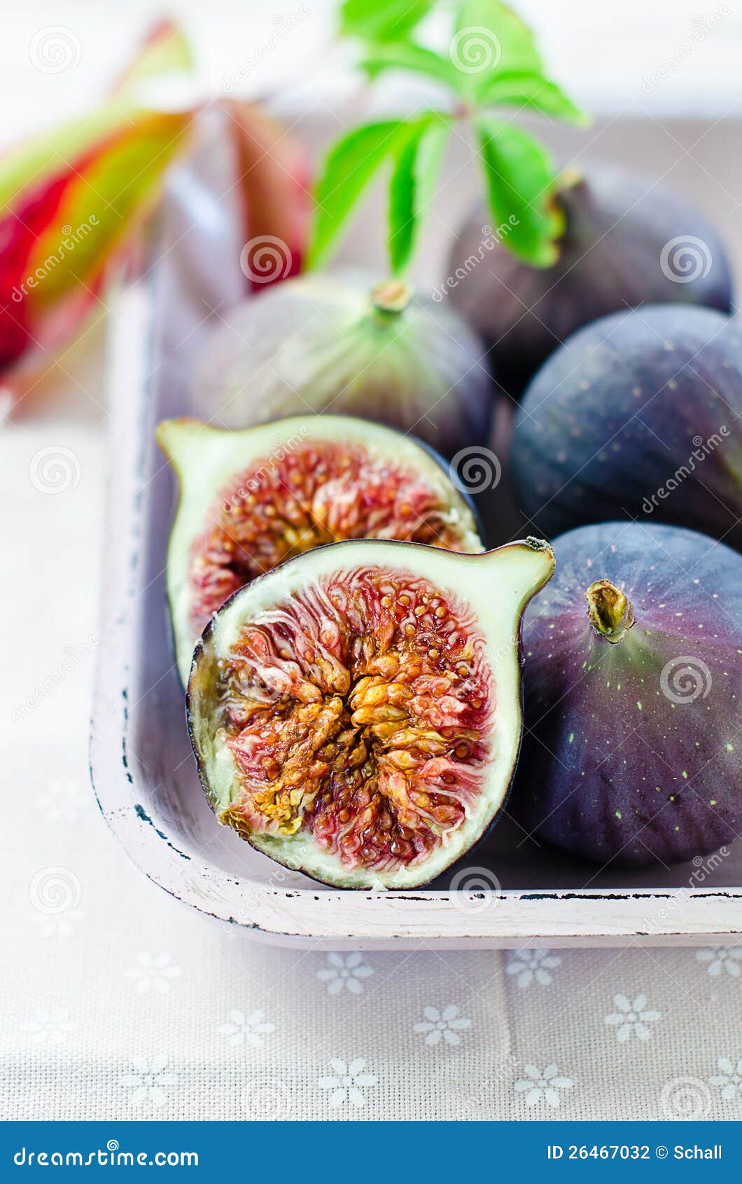 Ripe fresh Fig stock photo. Image of eating, fruit, closeup - 26467032