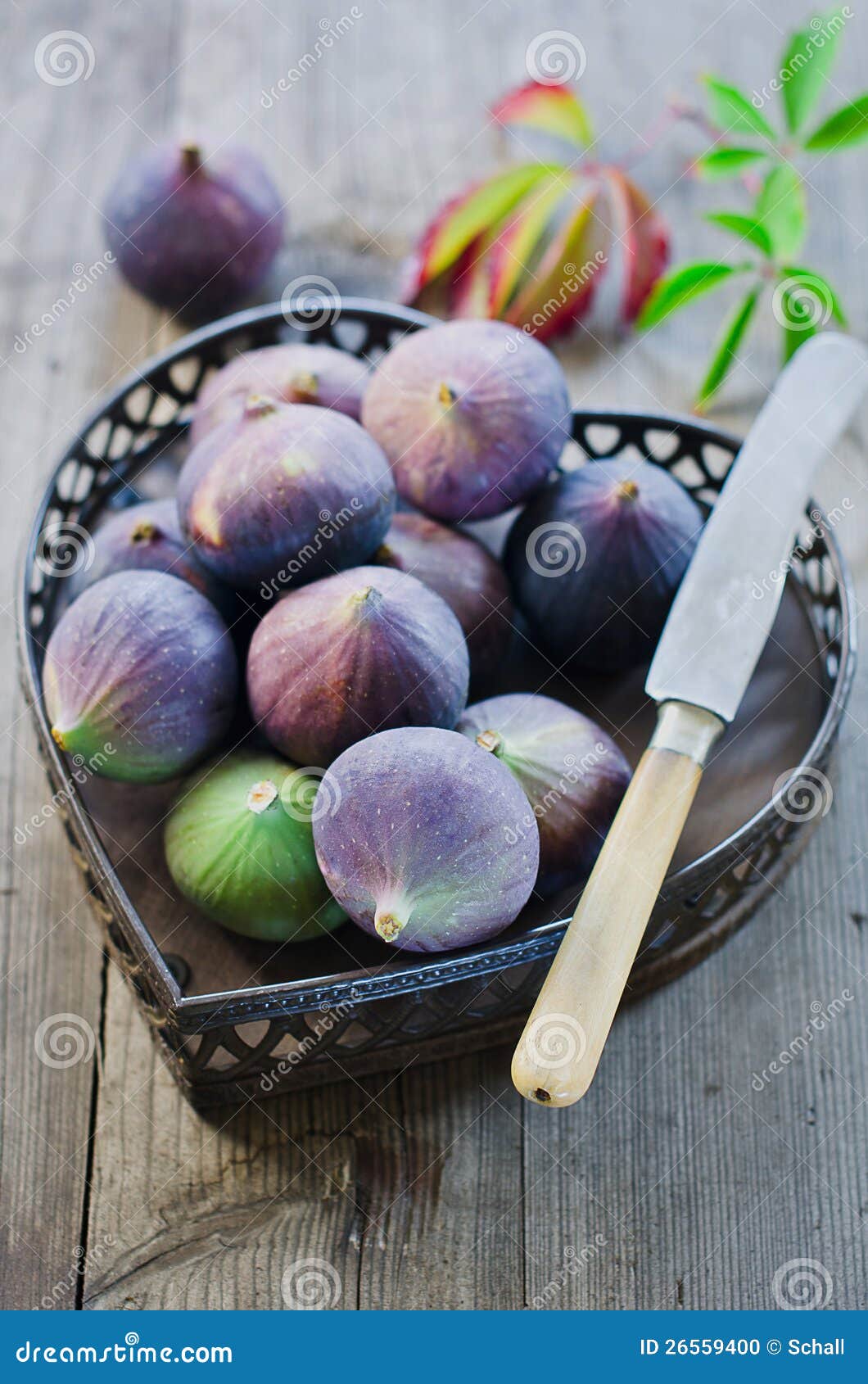 Ripe fresh Fig stock photo. Image of halved, leaf, blue - 26559400