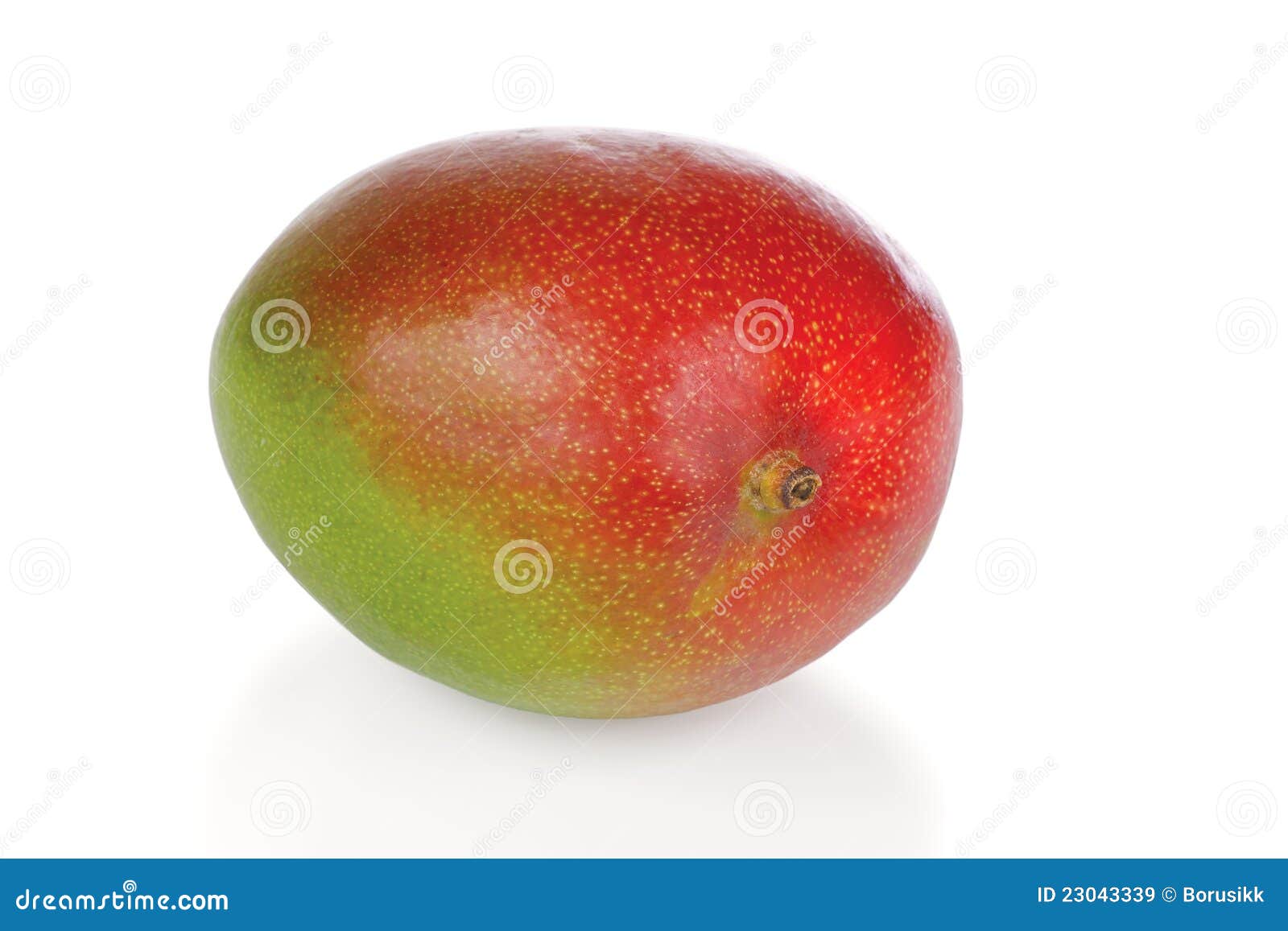 Ripe fresh mango stock image. Image of food, eating, ingredient - 23043339