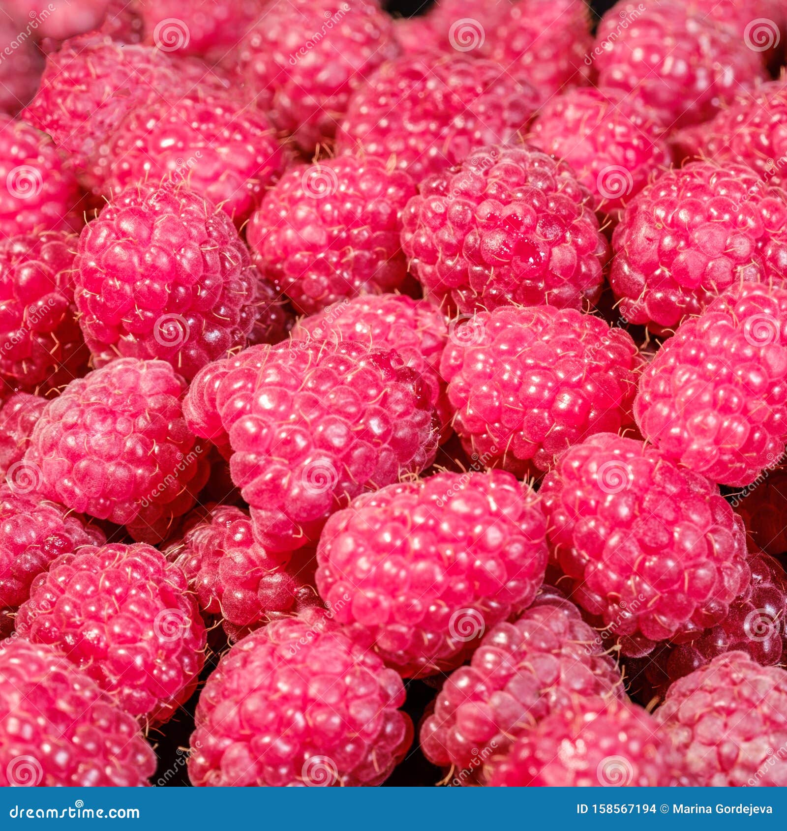 Ripe And Fresh Raspberries Sweet Red Raspberries Berries Food Stock