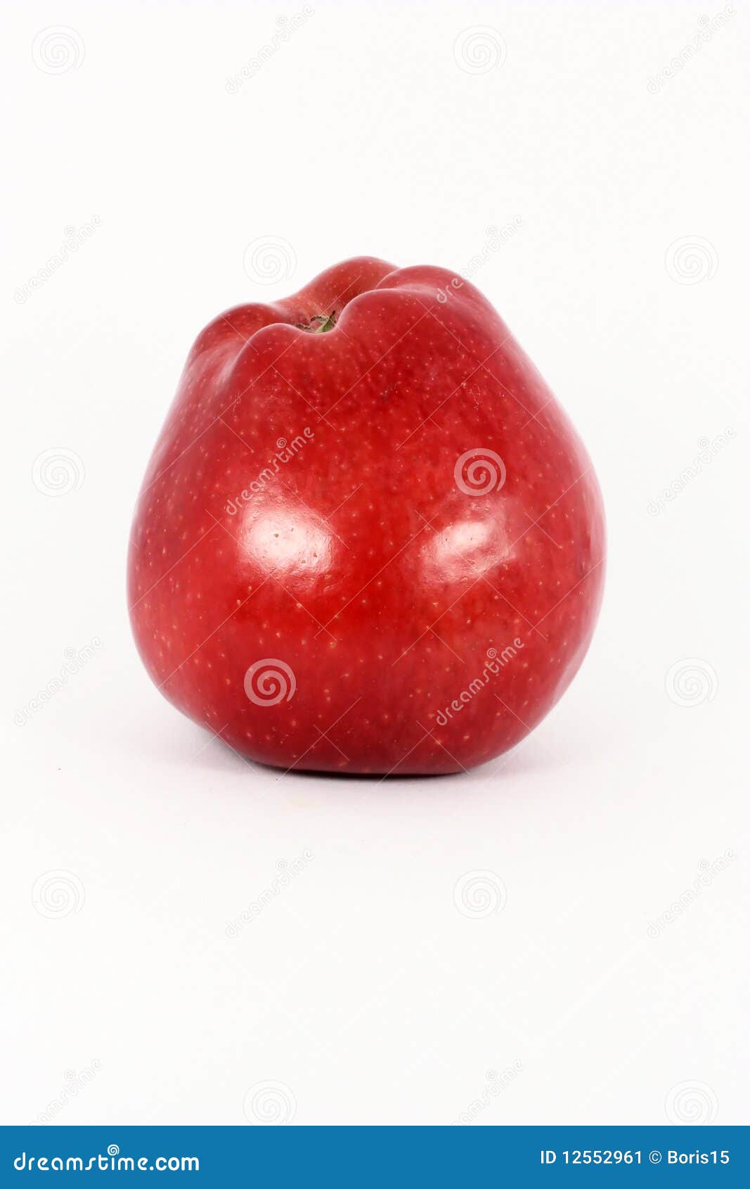 Ripe fresh red apple stock image. Image of fresh, single - 12552961