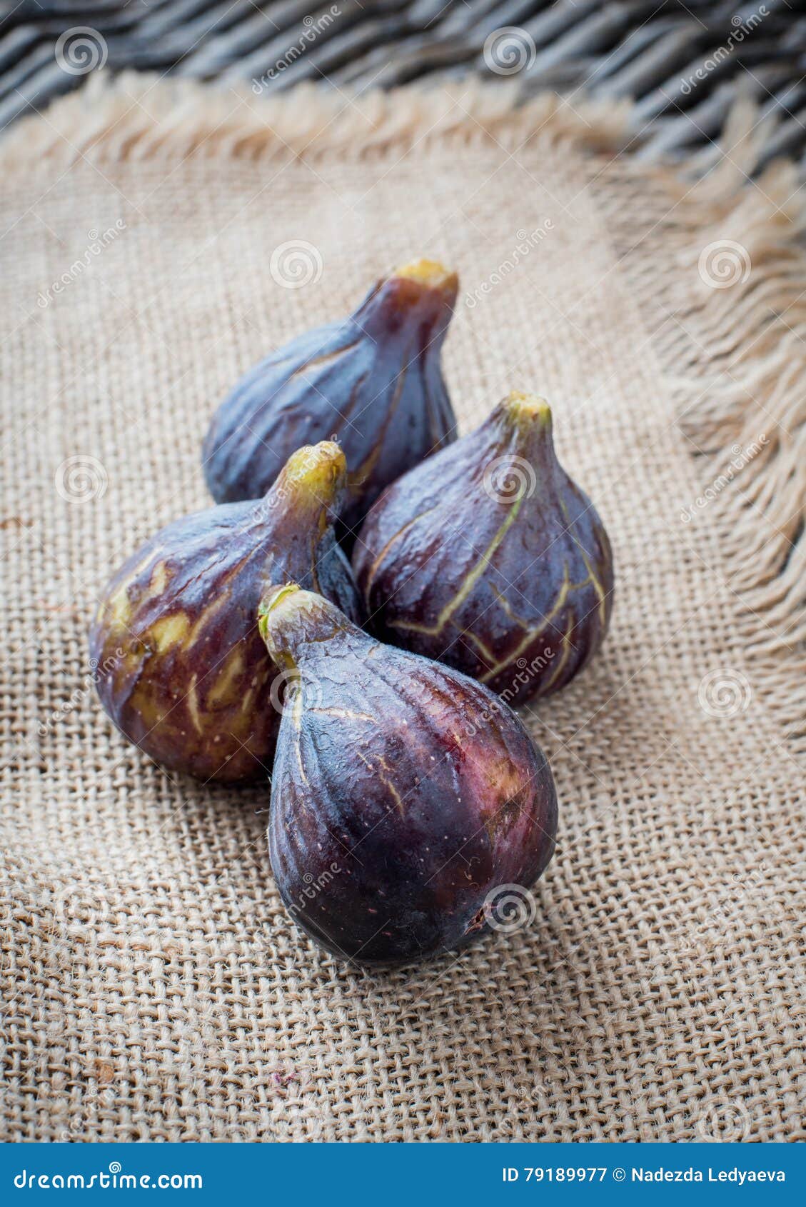 Figson Stock Photos - Free & Royalty-Free Stock Photos from Dreamstime