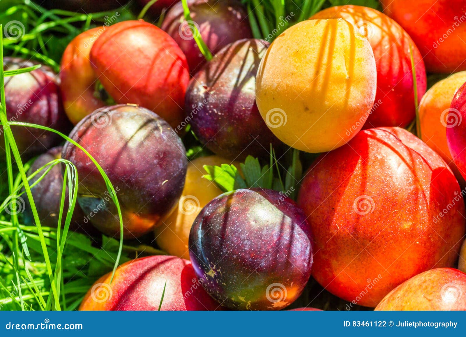 Ripe Fruit on the Grass in the Garden. Peaches, Plums Stock Photo ...