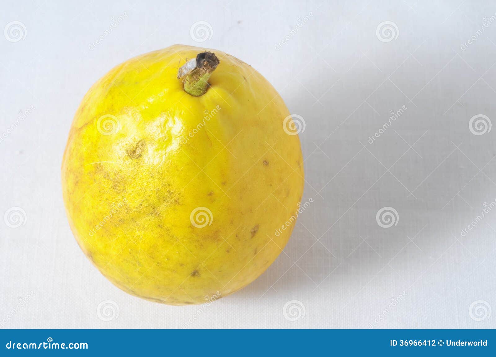 Ripe Fruit stock photo. Image of white, mature, unusual - 36966412