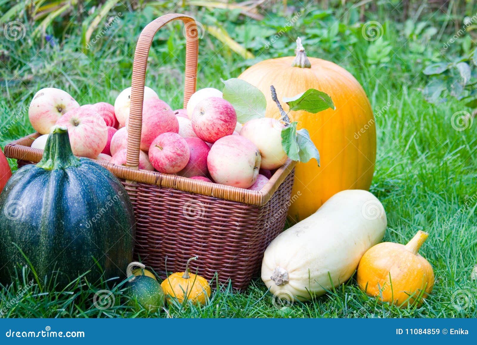 Ripe fruits and vegetables stock image. Image of grass - 11084859